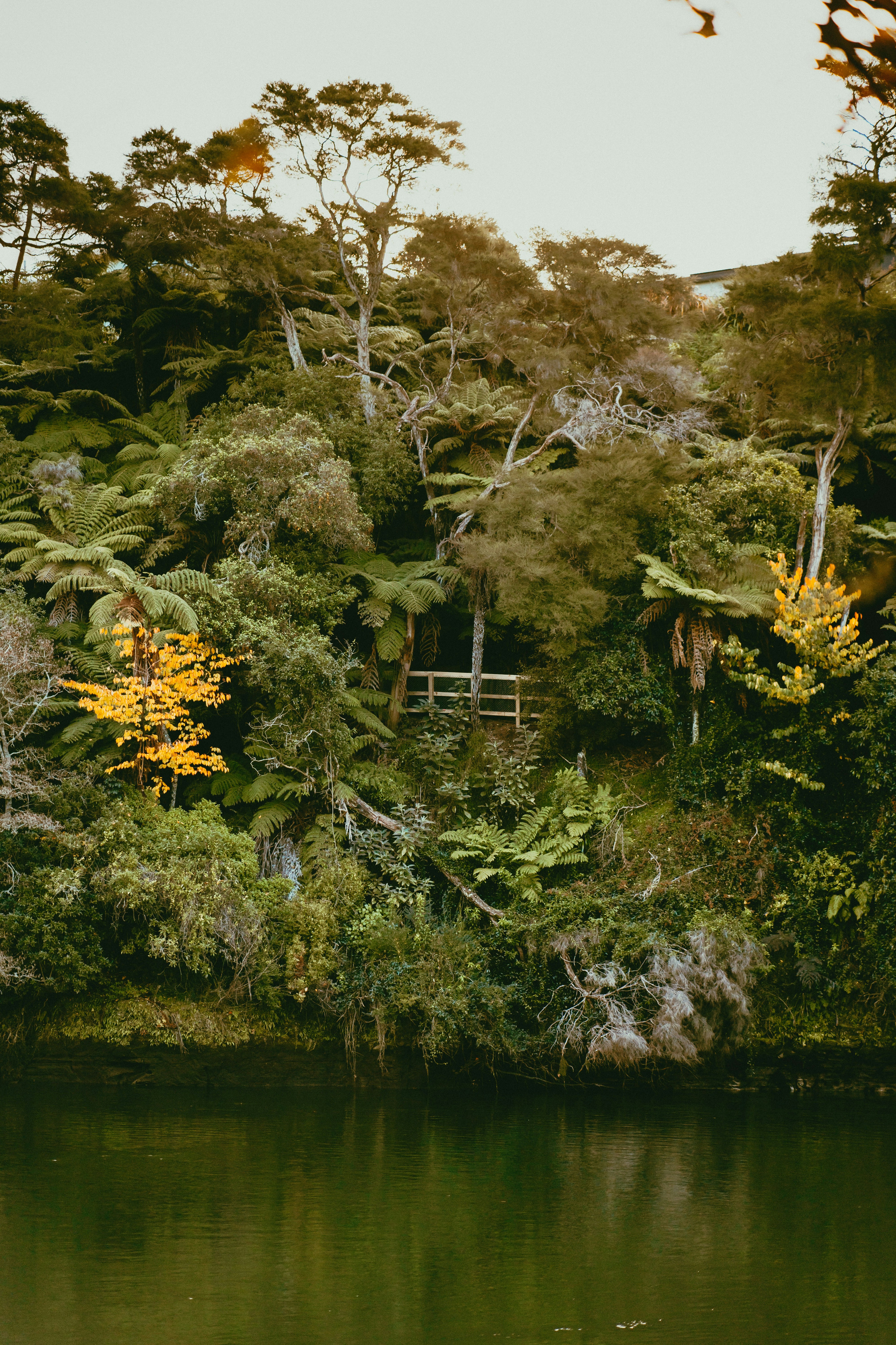 Photo by Petra Reid with Sony Alpha 7C