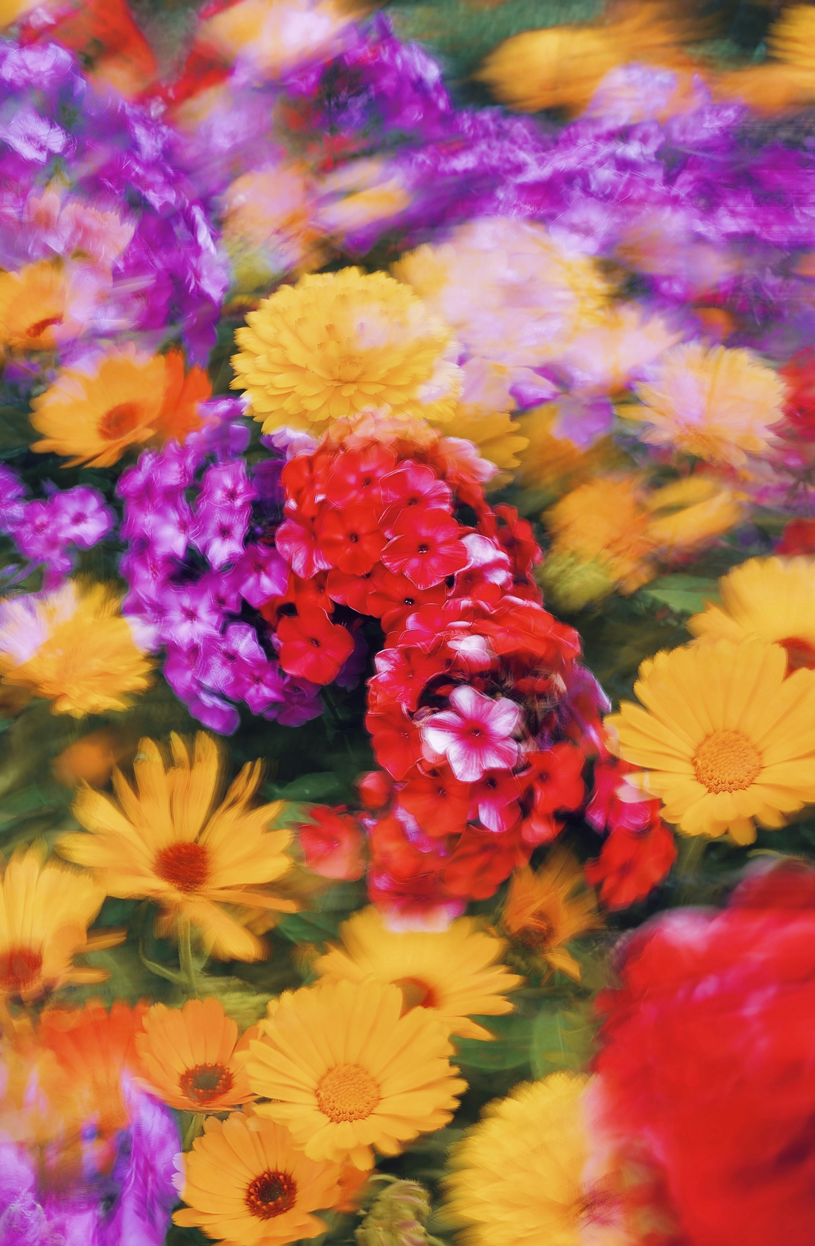 Un bouquet de fleurs qui sont dans l’herbe photo – Image gratuite de ...