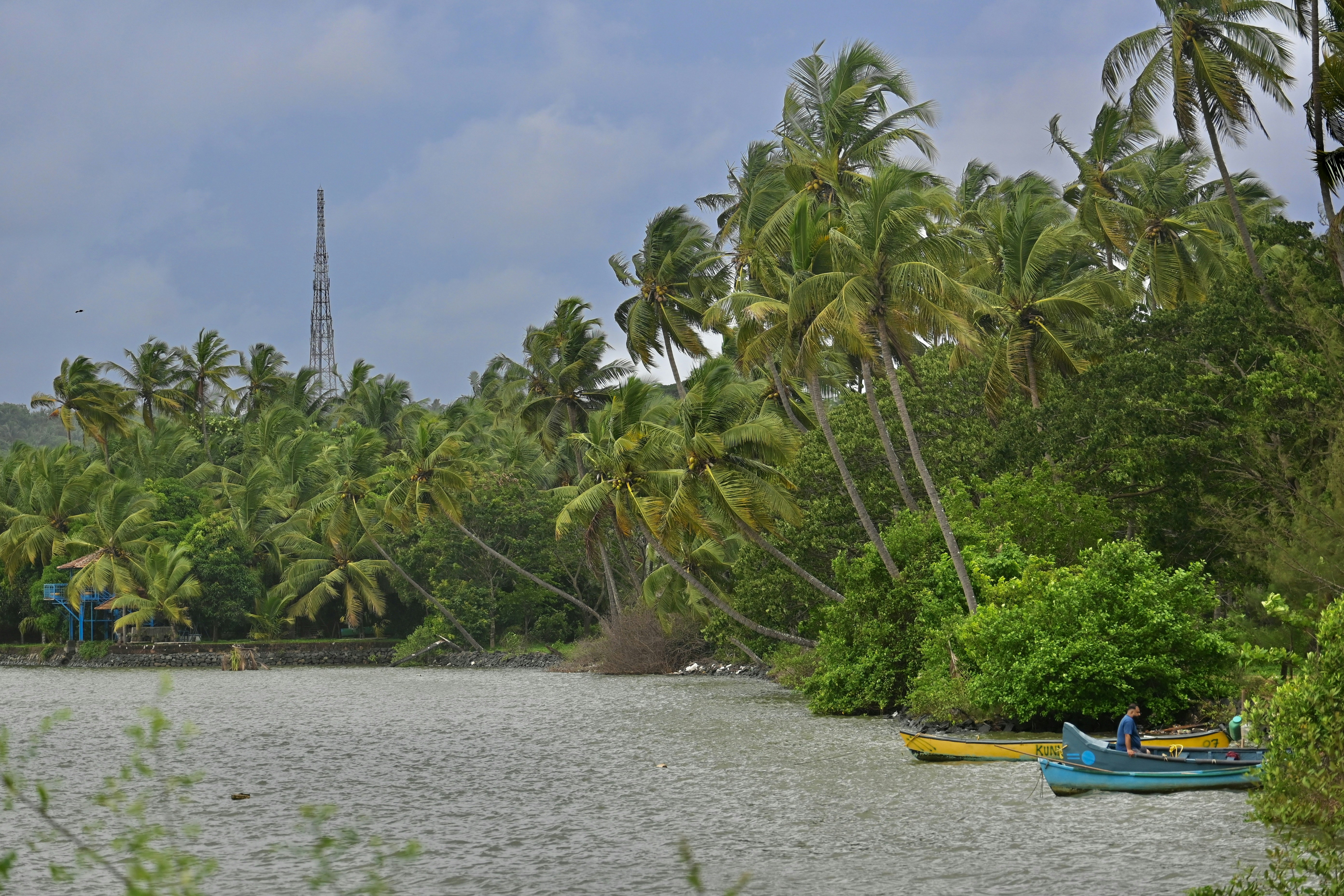 Lagoon Edge Reverie: Palm Canopy Over Calm Waters with Palm-Fringed Shore