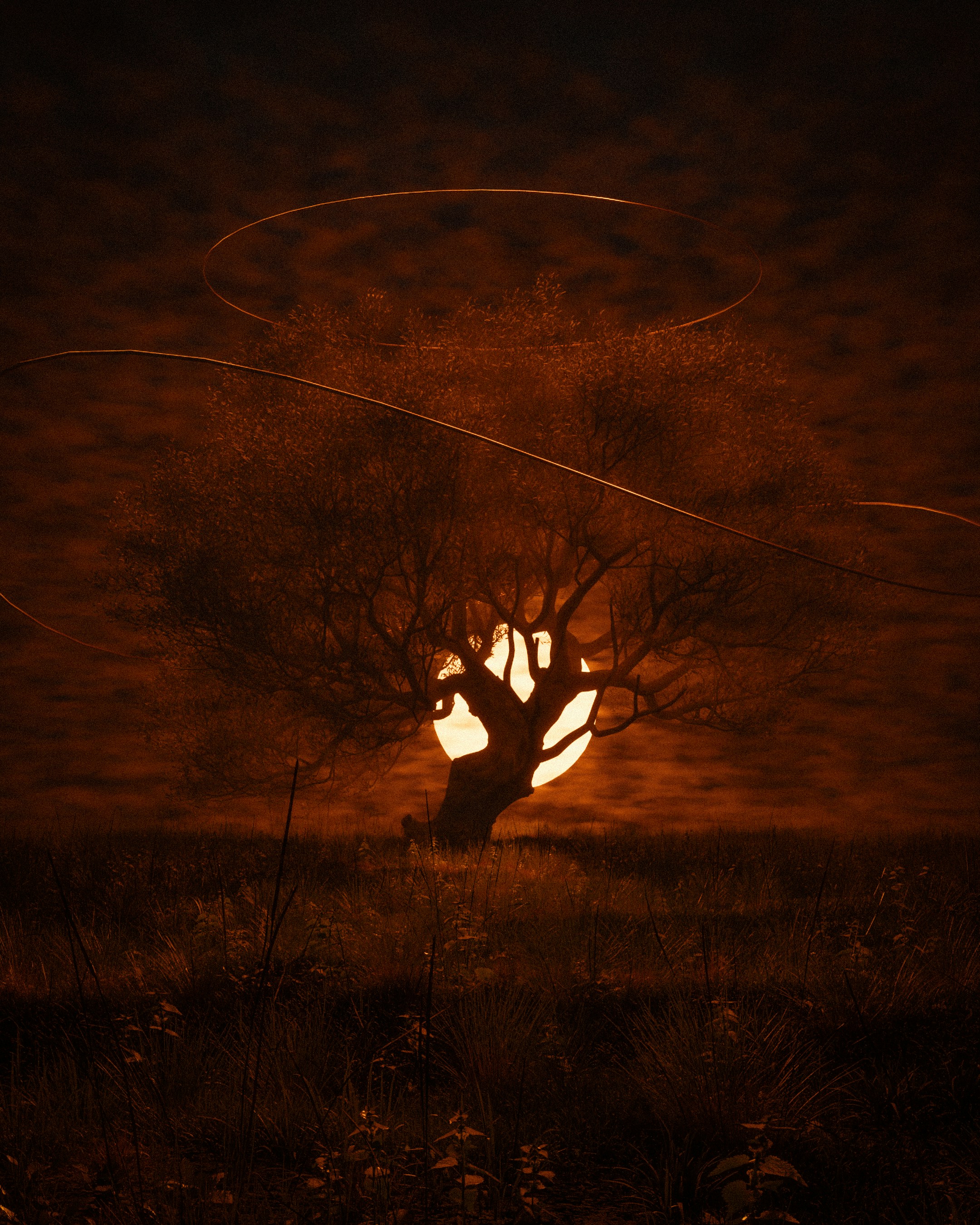 Horror Landscape Pictures | Download Free Images on Unsplash