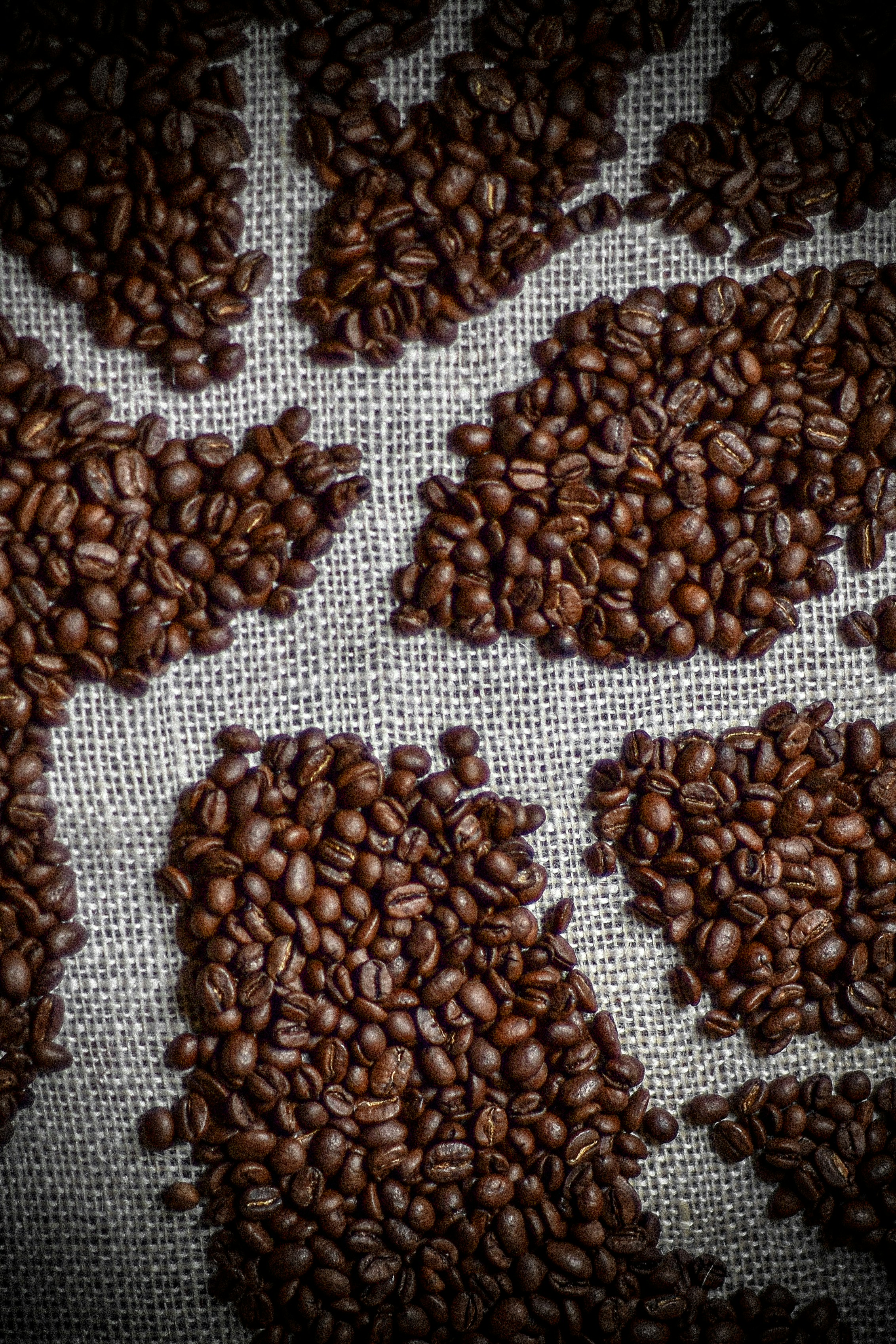 Mocha Mosaic: Coffee Beans Form a Quiet Grid on Burlap