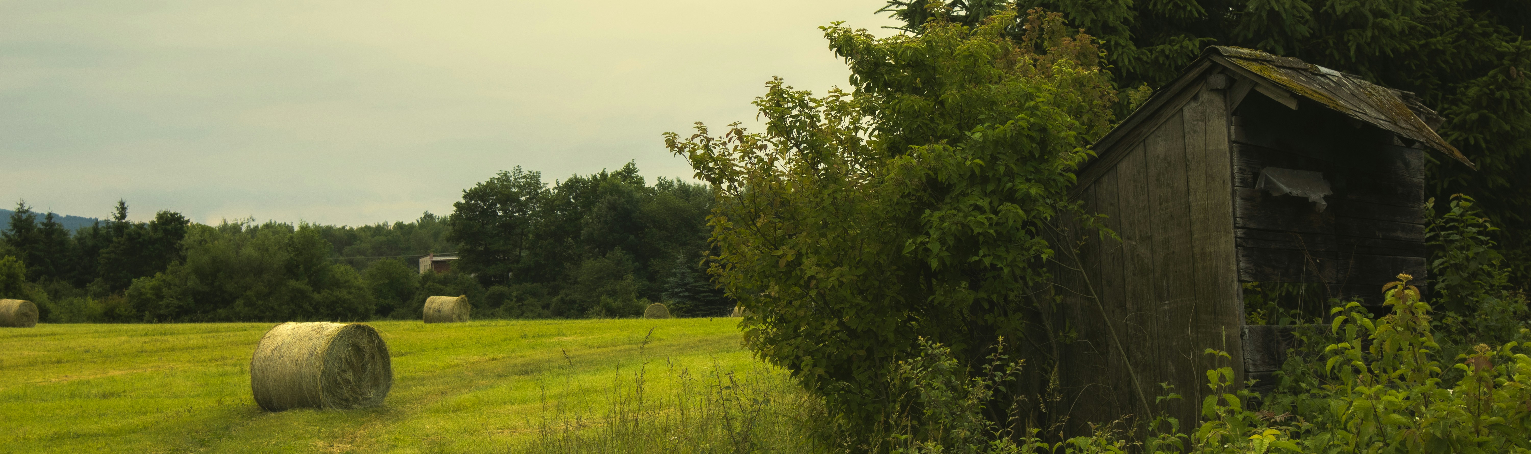 Hay bales in a field with a shed in the background photo – Free Poruba ...