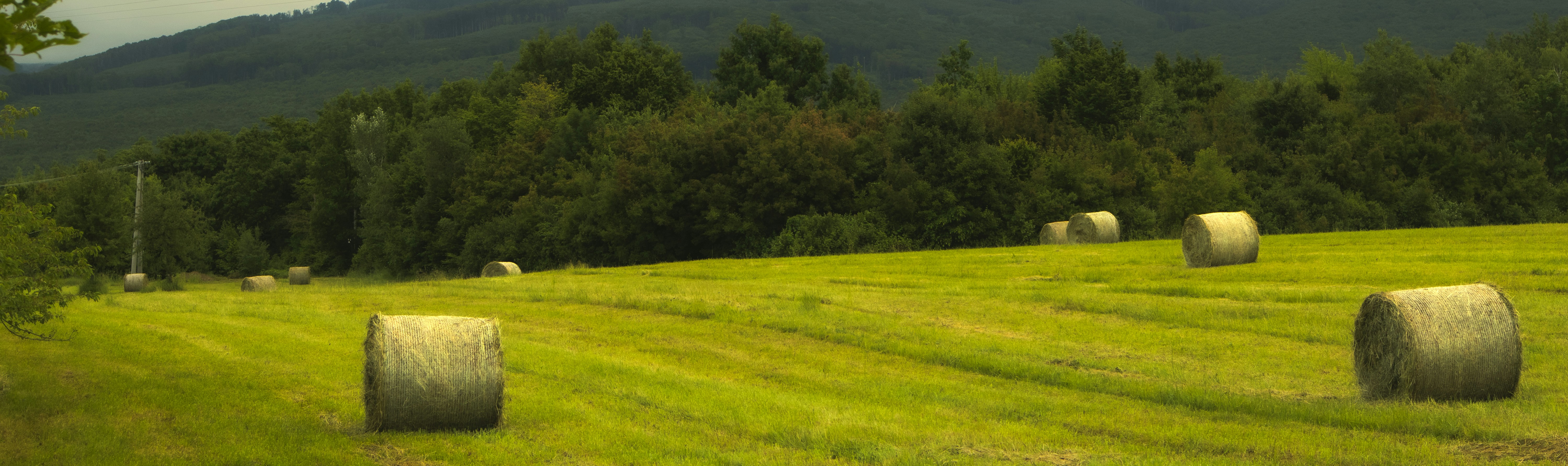 A grassy field with bales of hay in the foreground photo – Free Poruba ...