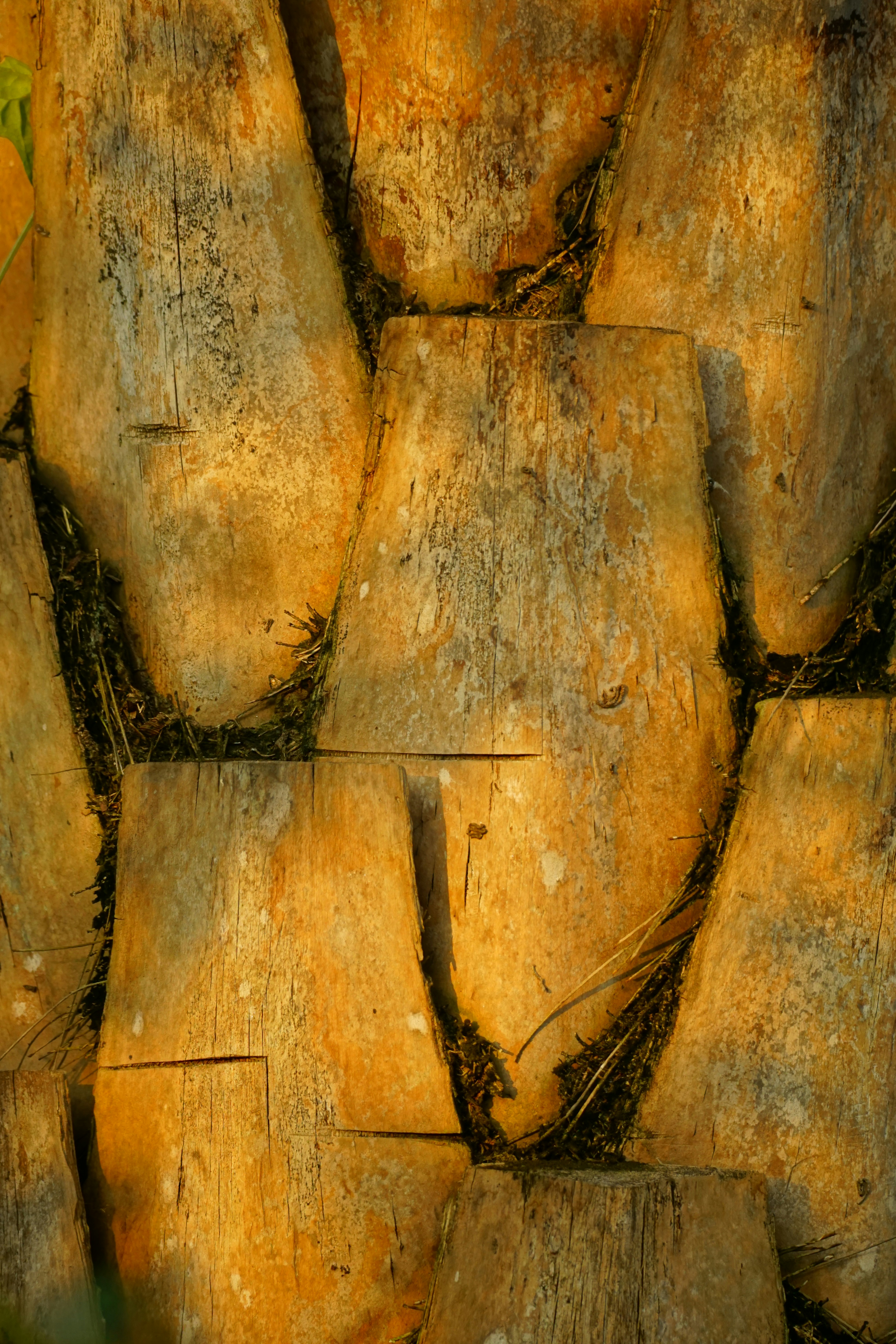 Amber Facade of Stacked Logs: Weathered Cylinders in Warm Light