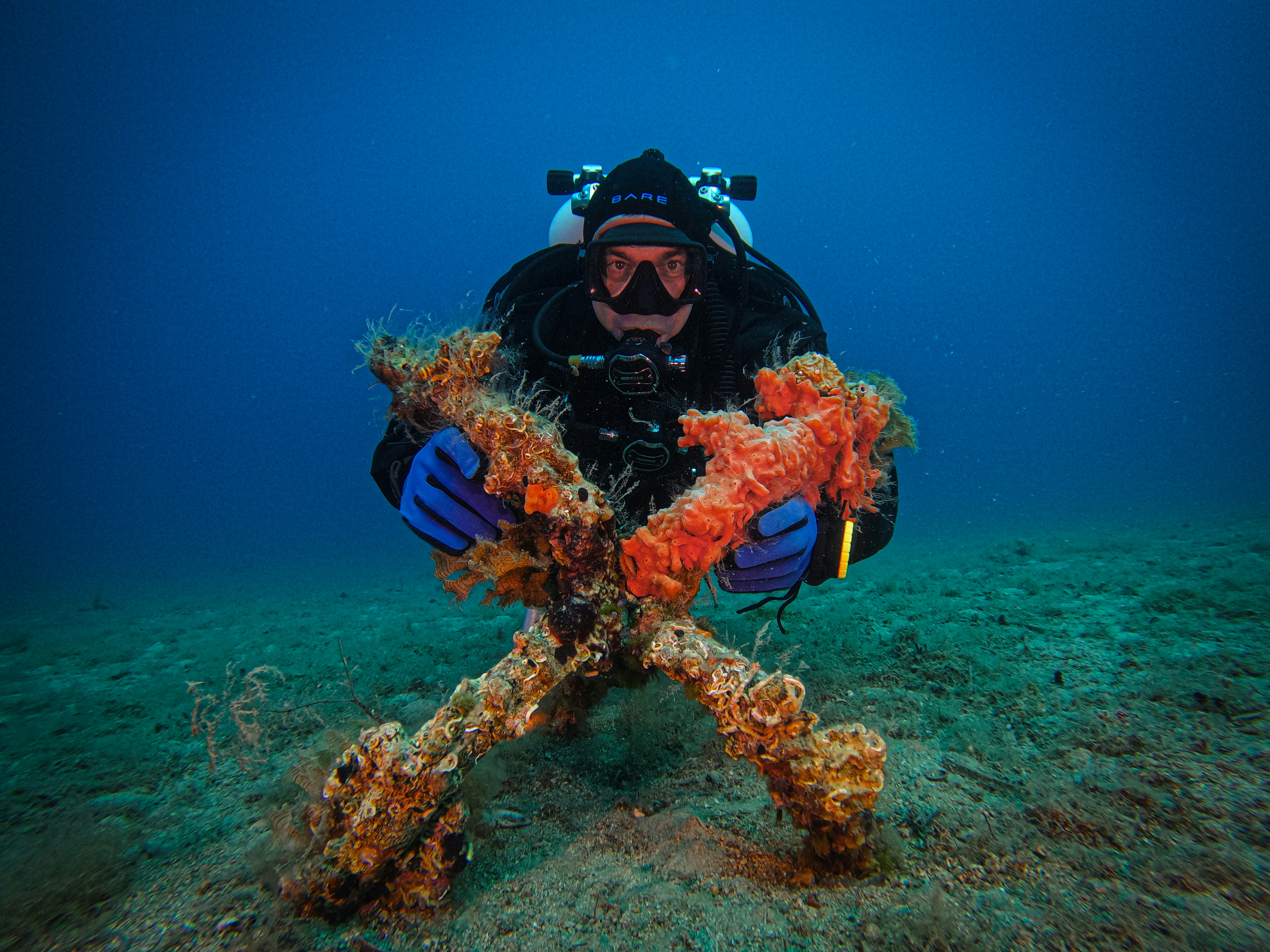 Diver Holds Algae-Crowned Frame in a Blue Underwater Canvas