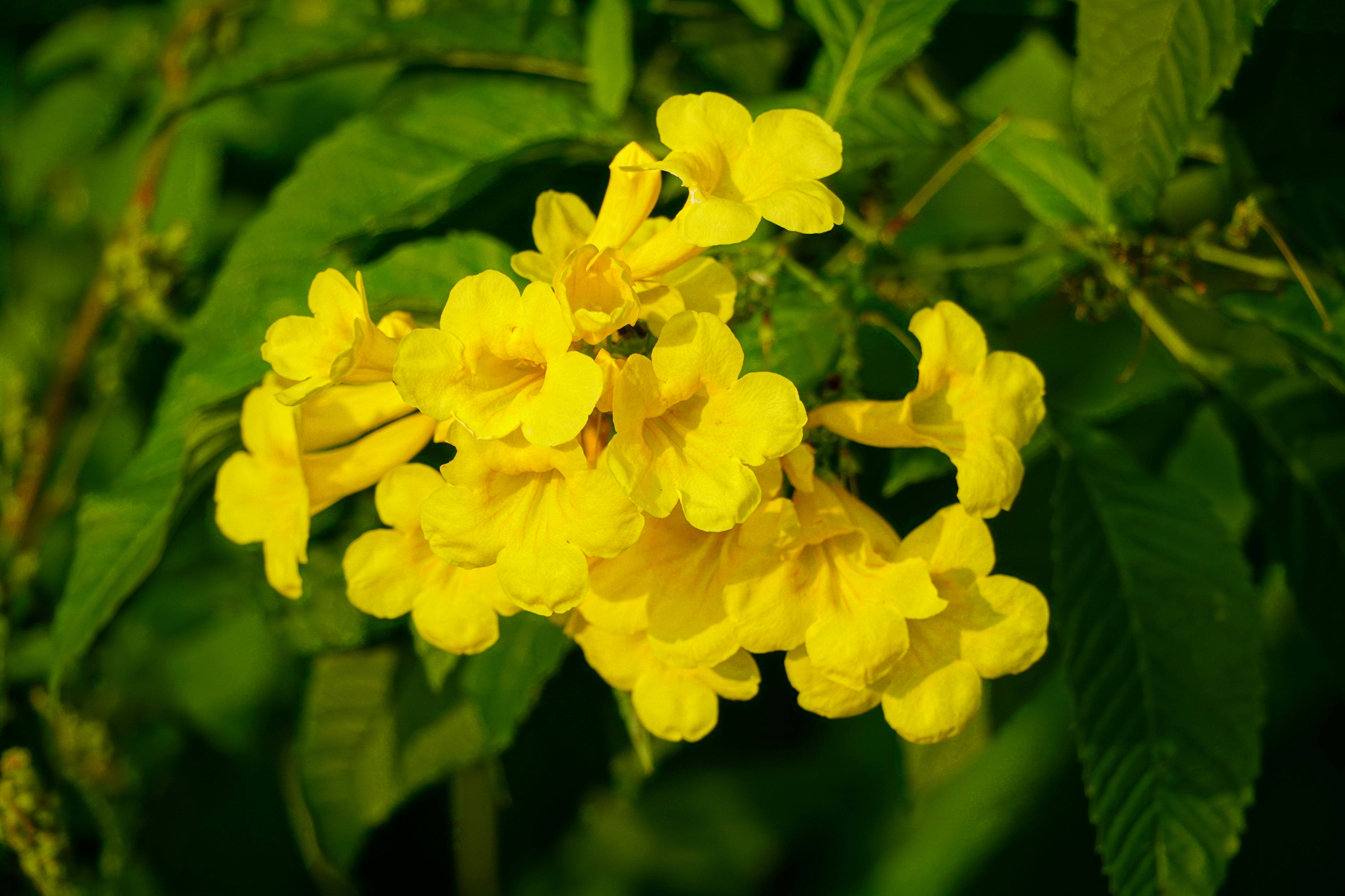 Photo by Duy Le Duc with Sony Alpha 6000