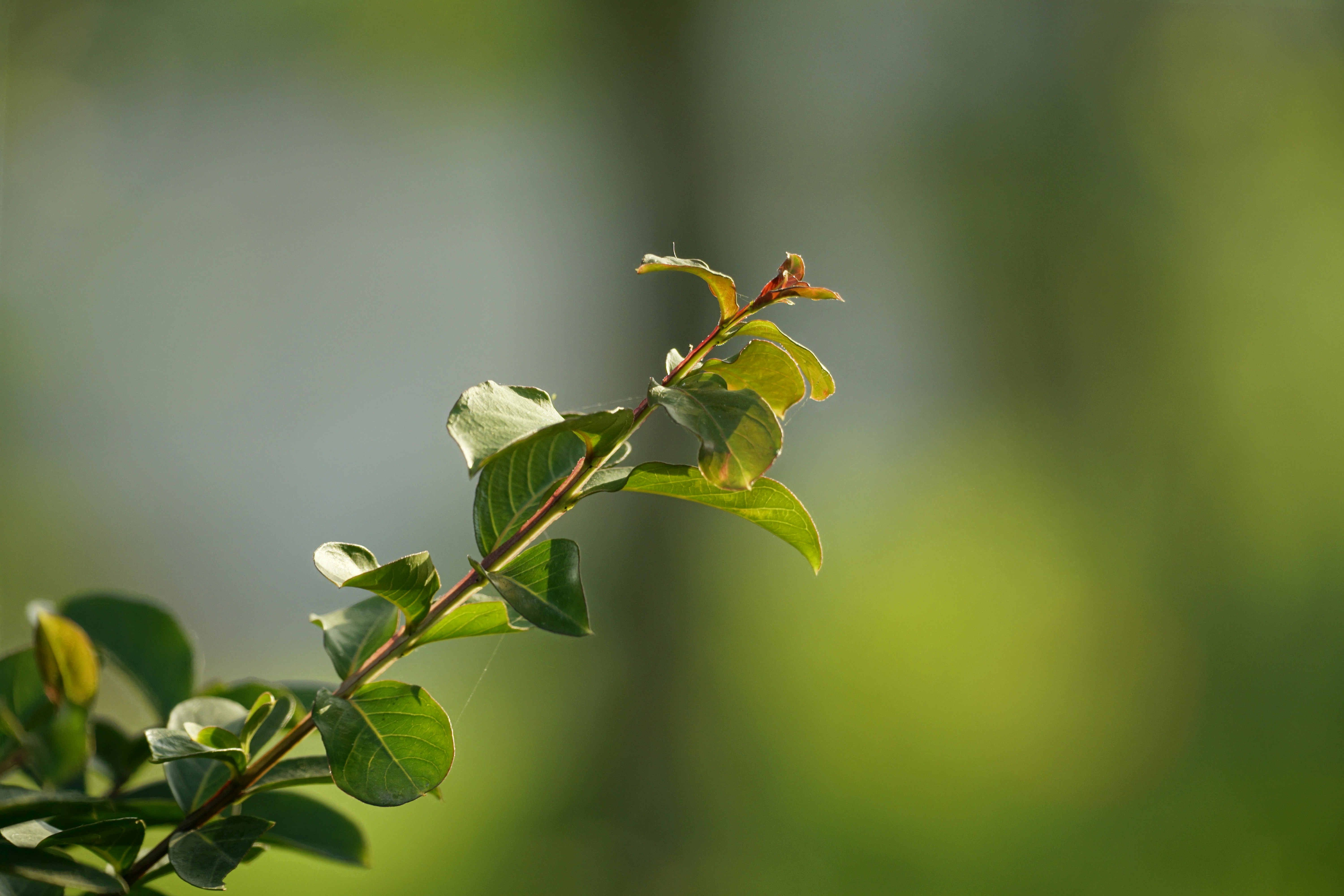 Photo by Duy Le Duc with Sony Alpha 6000