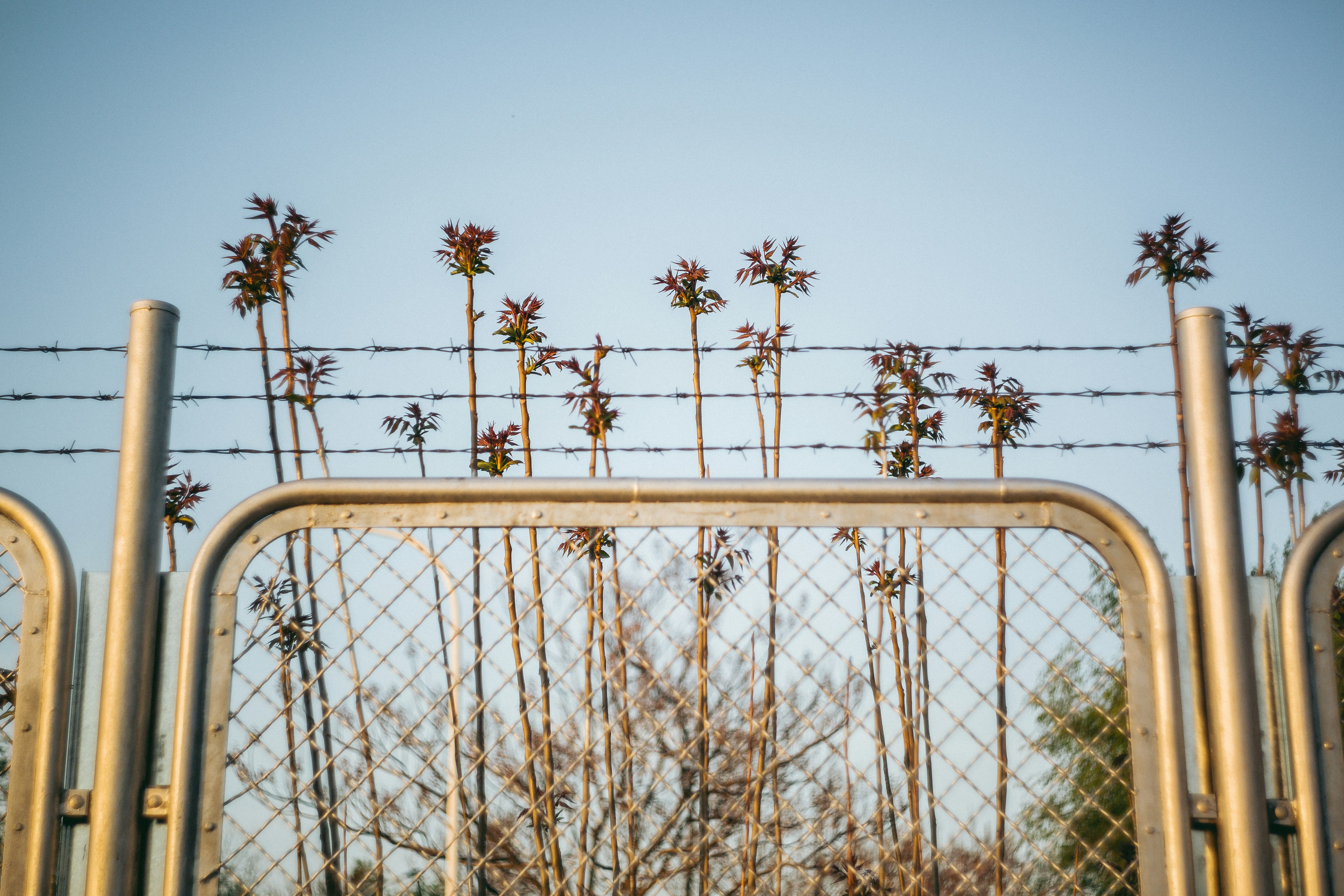 Photo by wu yi with Canon EOS 5D Mark III