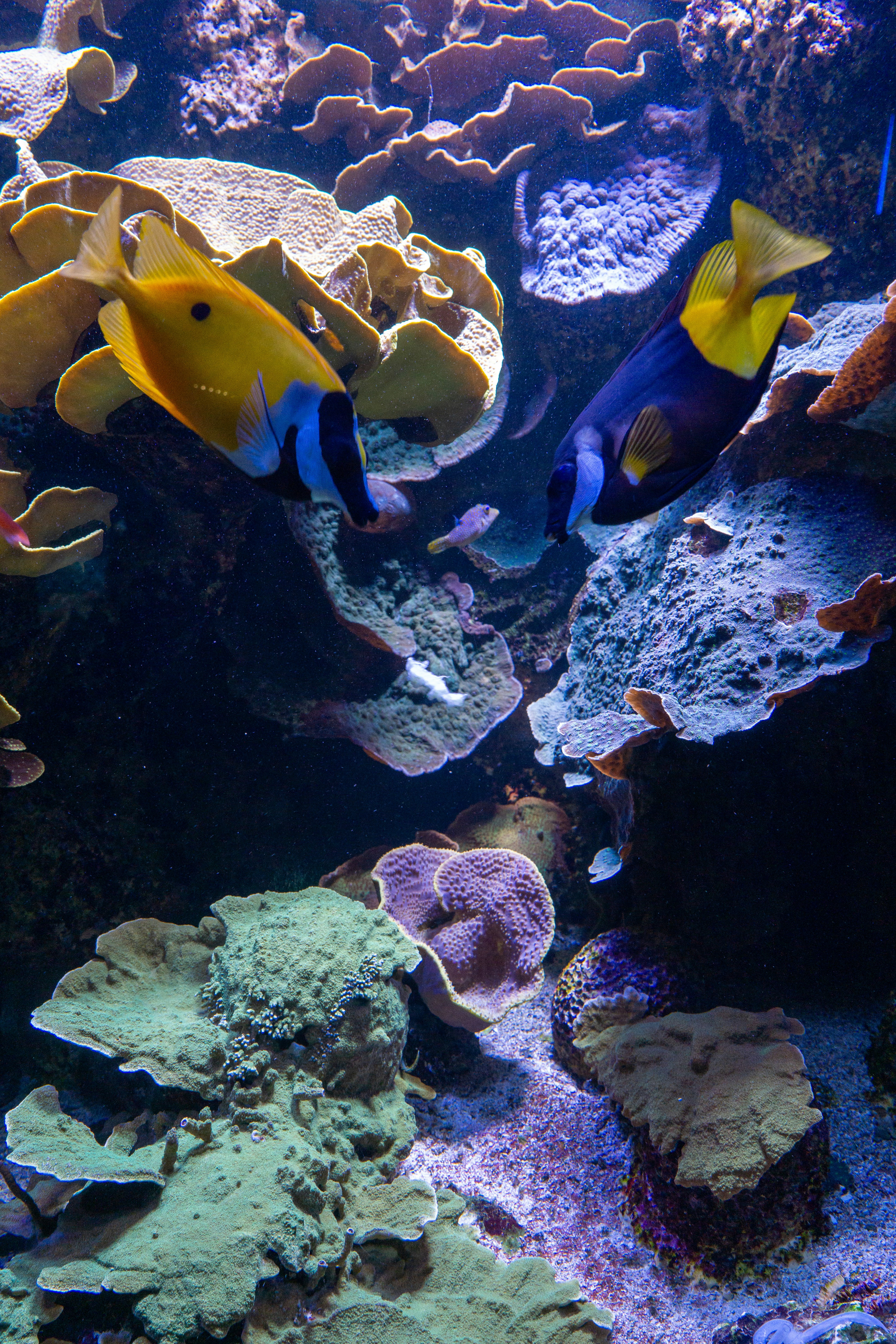 Photo by Robert Schwarz with Sony Alpha 6000