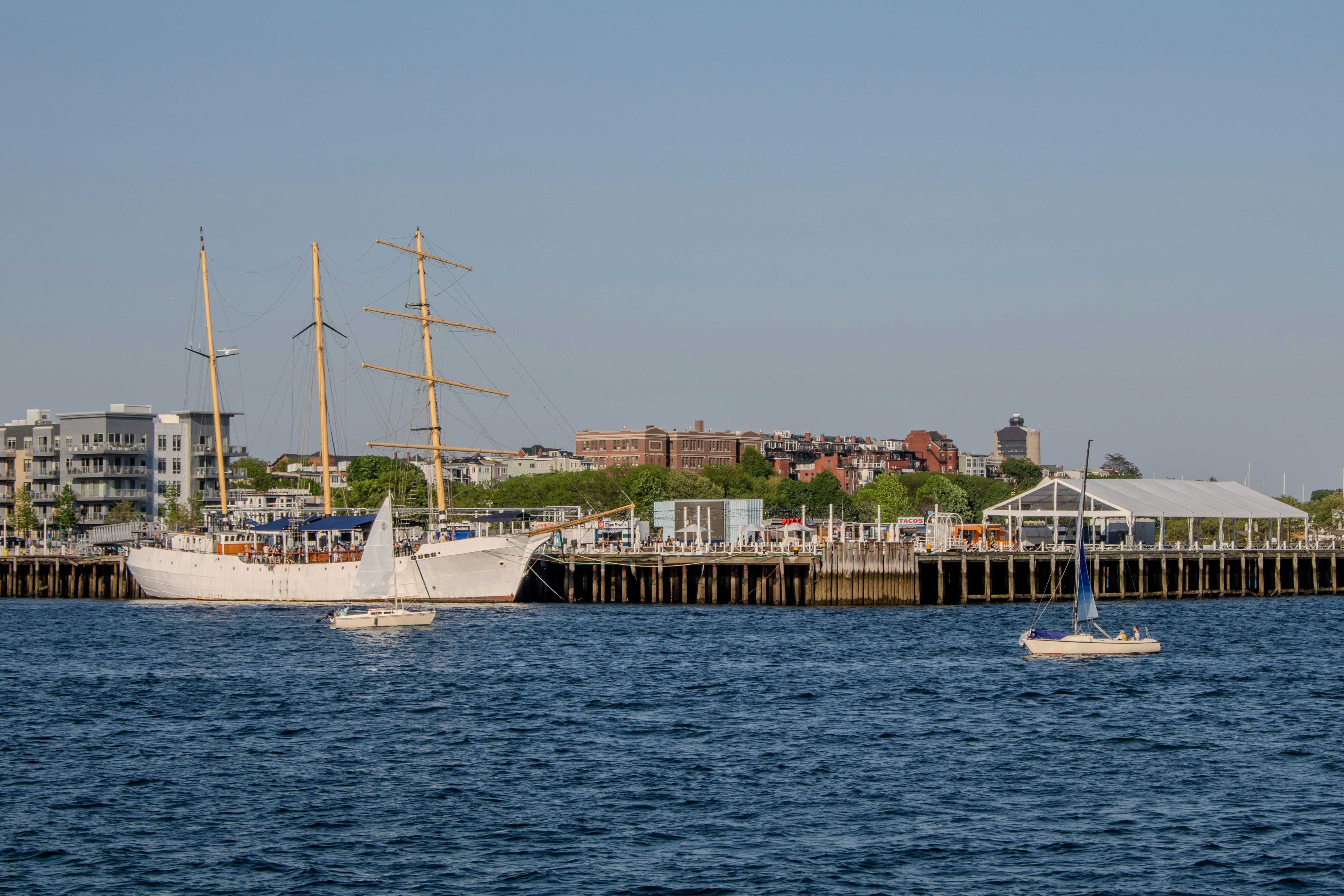 Sailboats glide across Boston Harbor with a backdrop of historic buildings and clear blue skies.