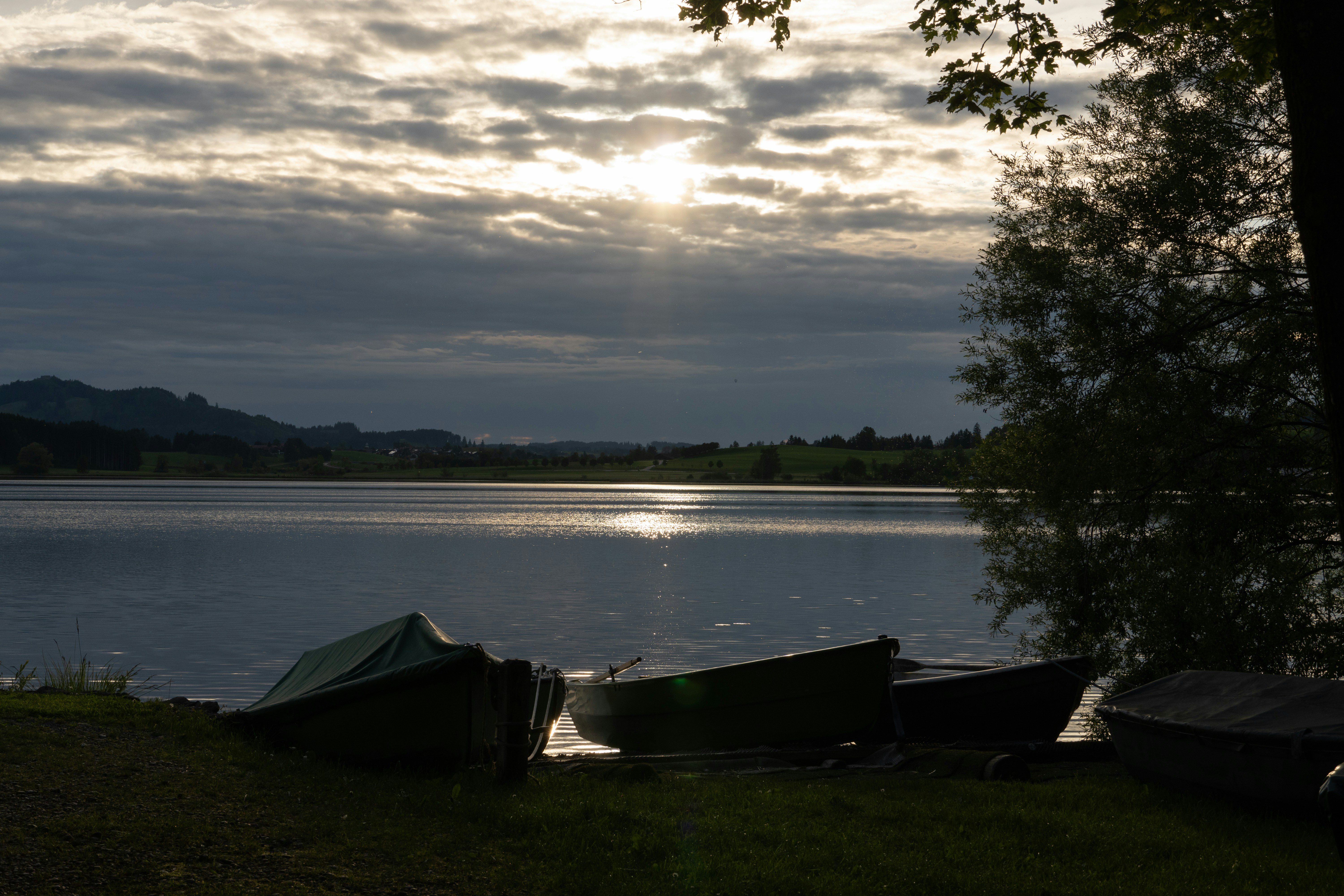 Photo by Olya Mn with Sony Alpha 6400