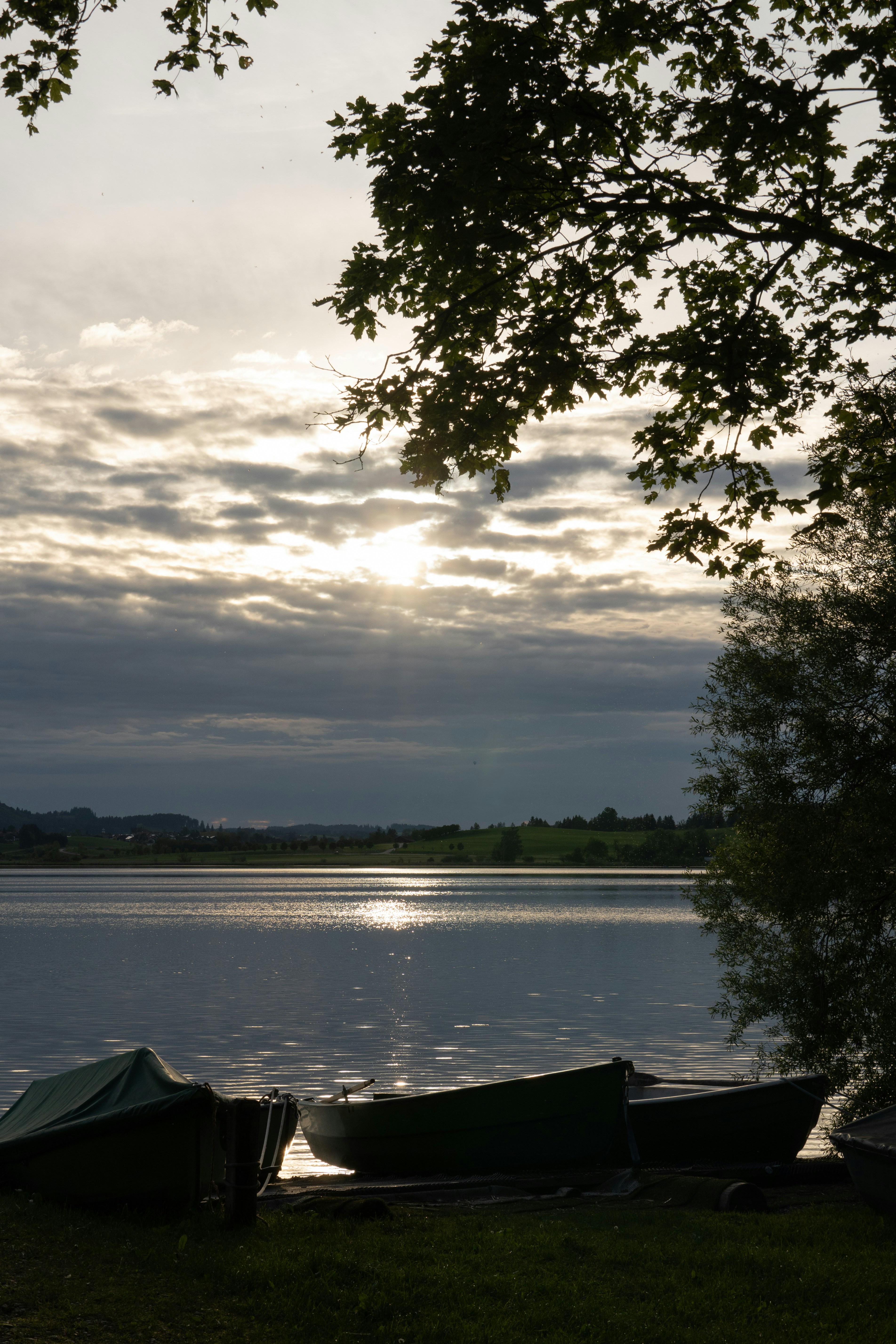 Photo by Olya Mn with Sony Alpha 6400