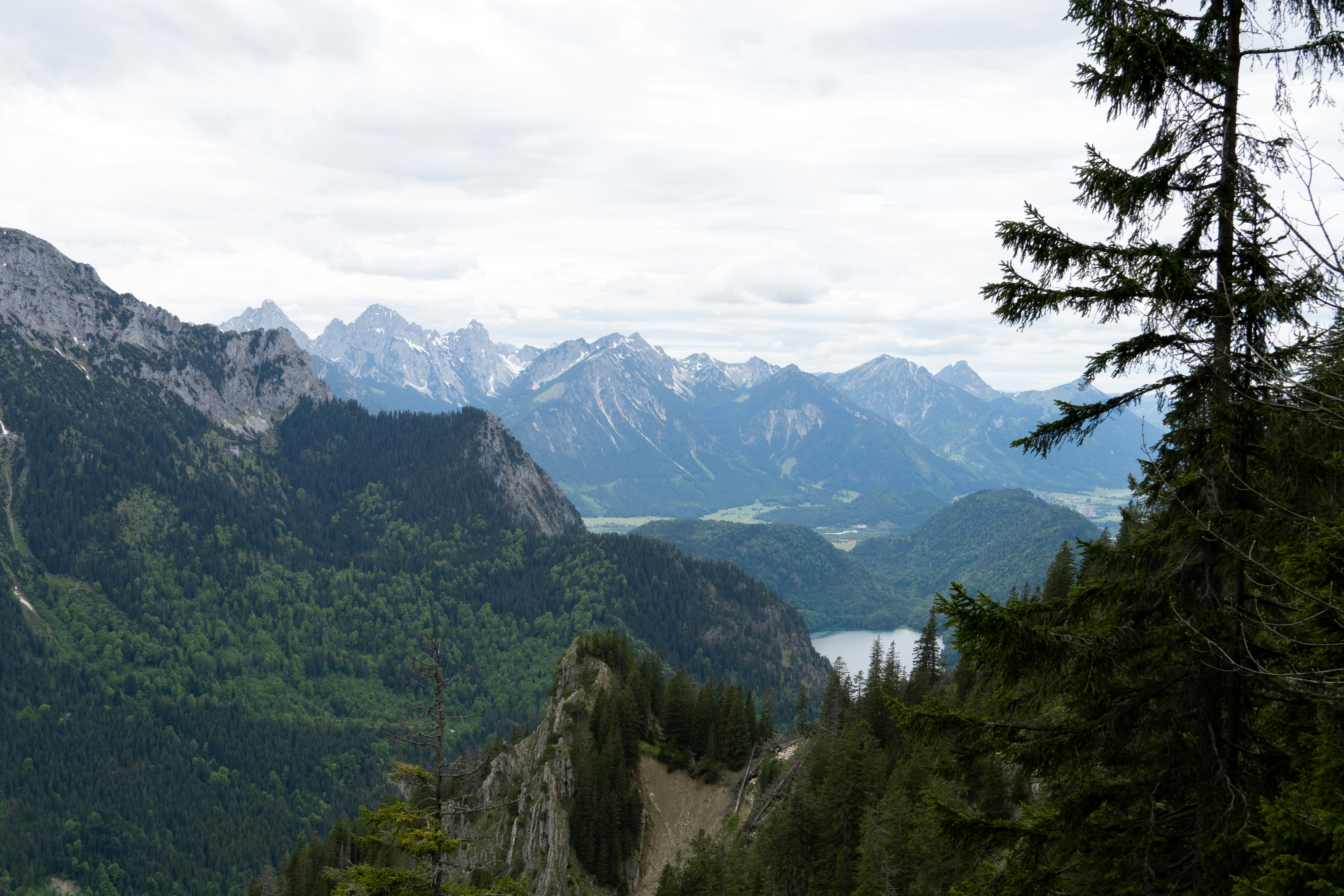 Photo by Olya Mn with Sony Alpha 6400