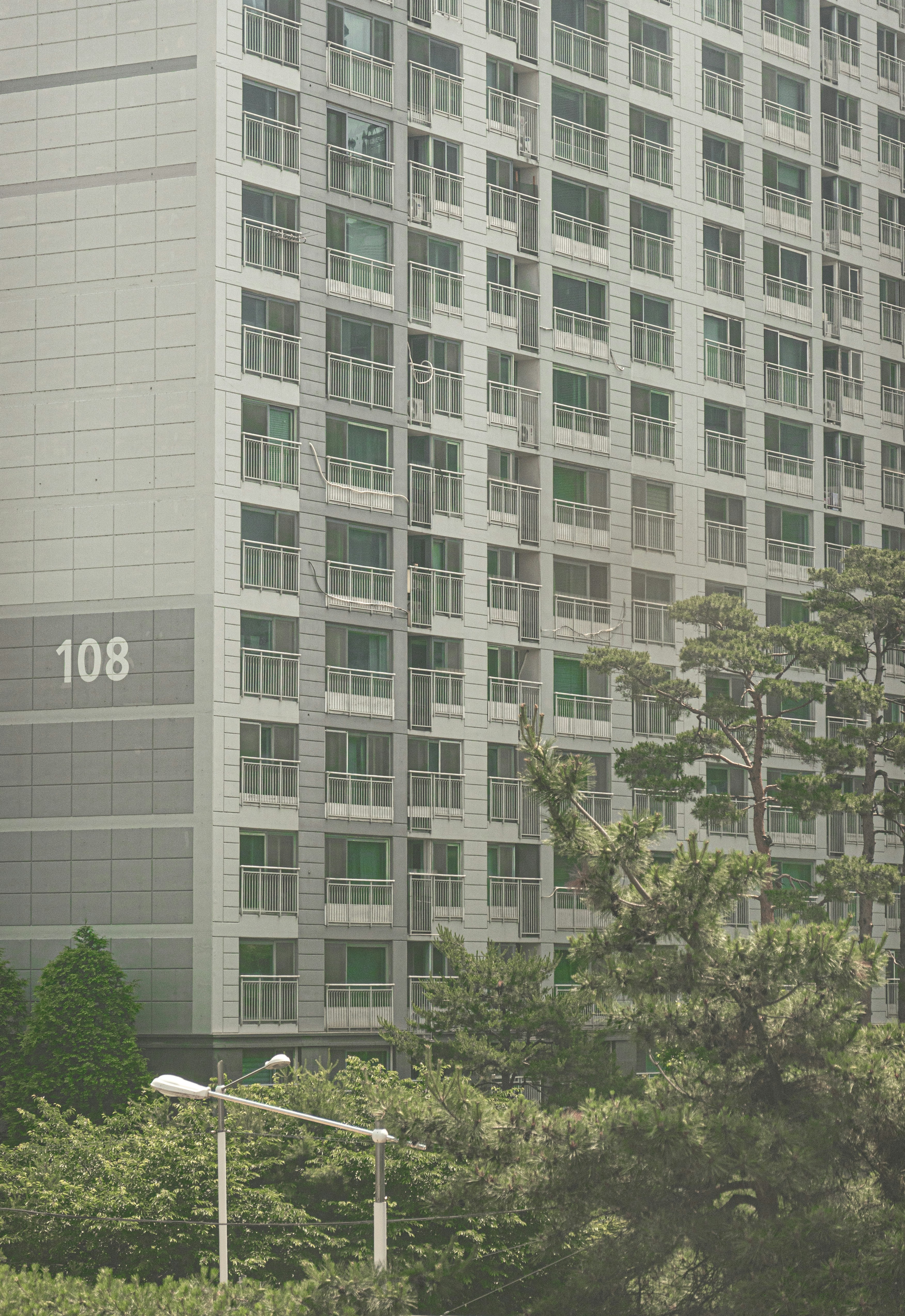The Quiet Rhythm of a High-Rise: Windows, Grids, and Green in Foreground
