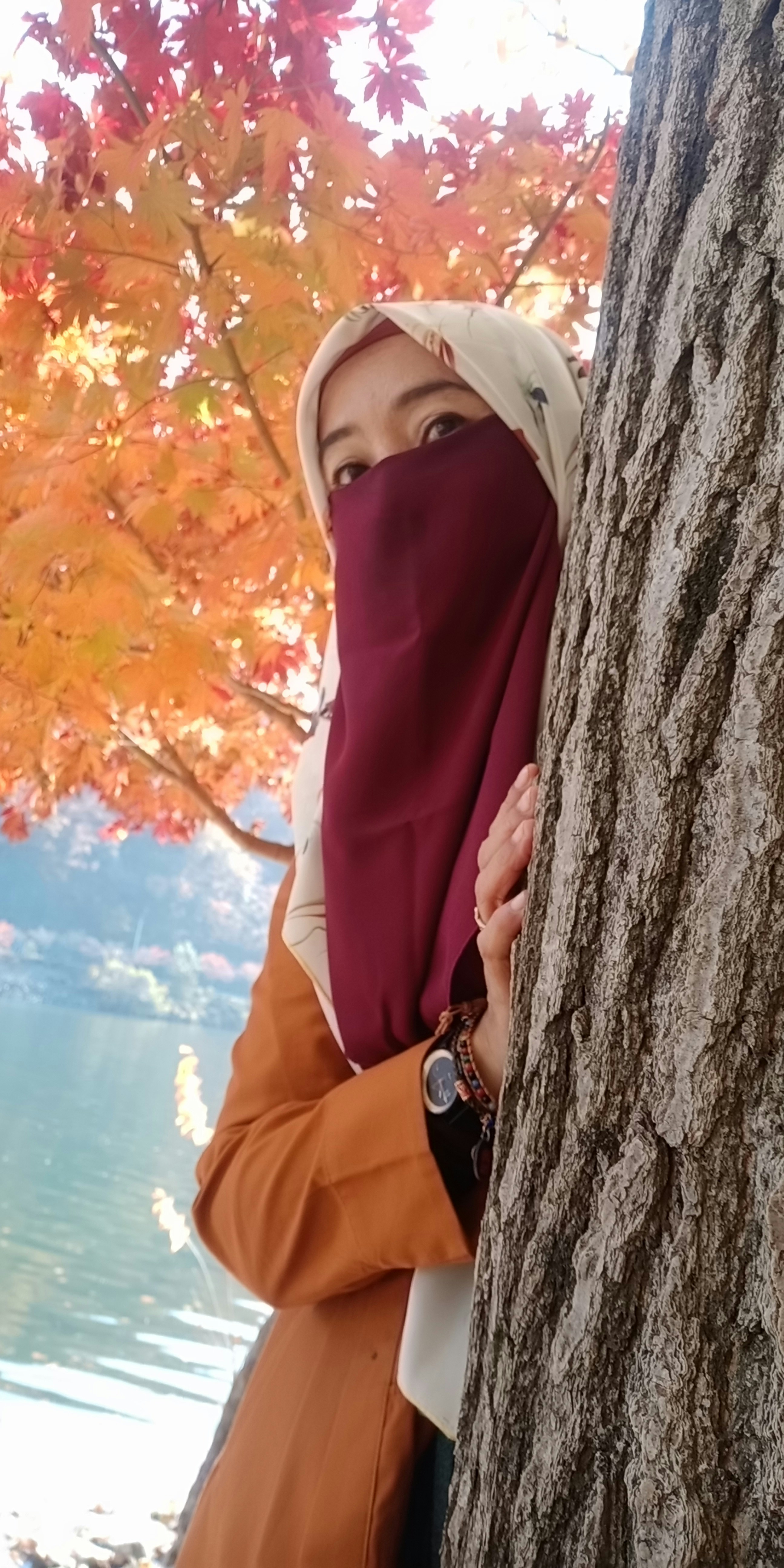 Crimson Canopy and Quiet Gaze by the Lake