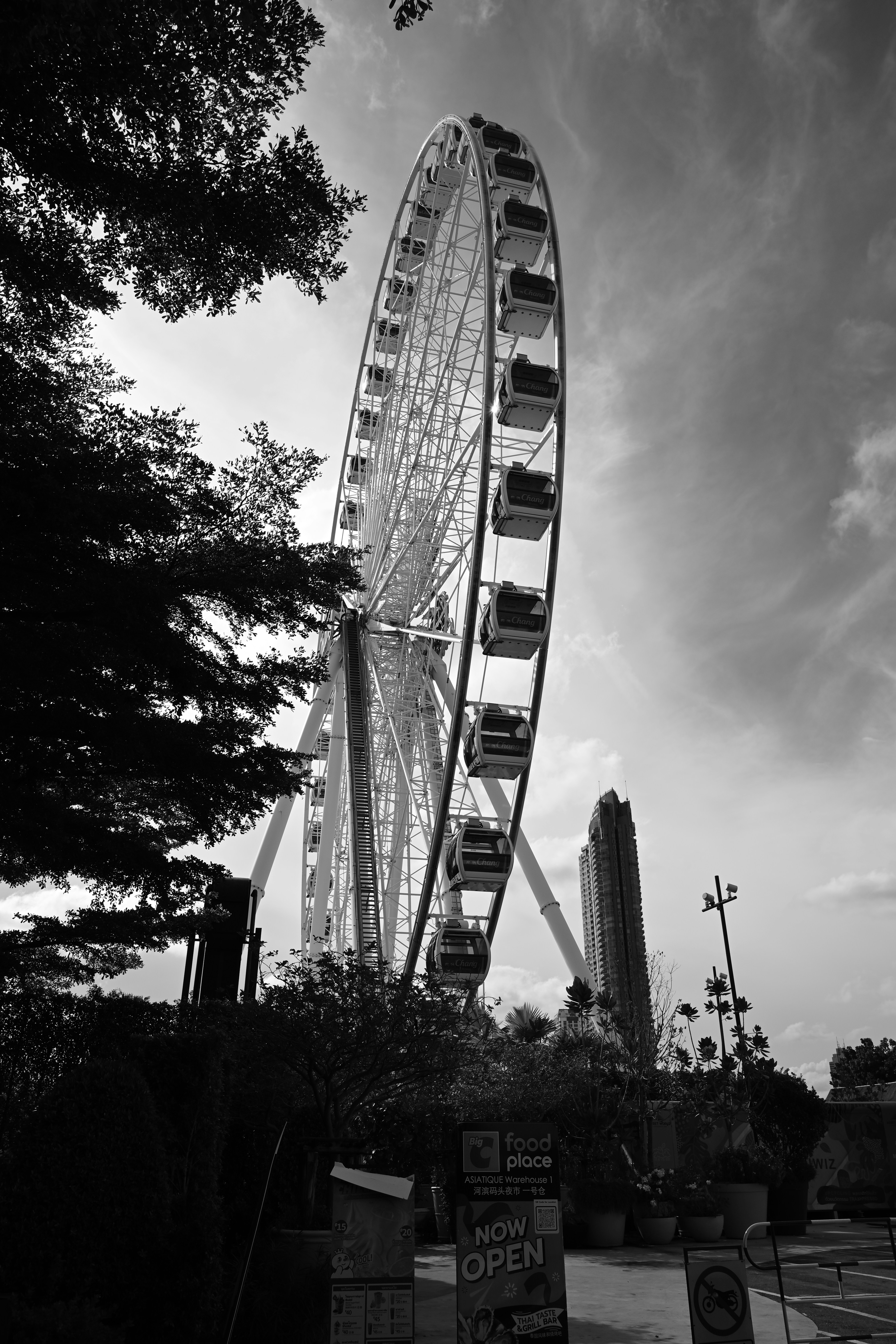 Giant Wheel, Quiet Skyline: A Black-and-White Park Moment