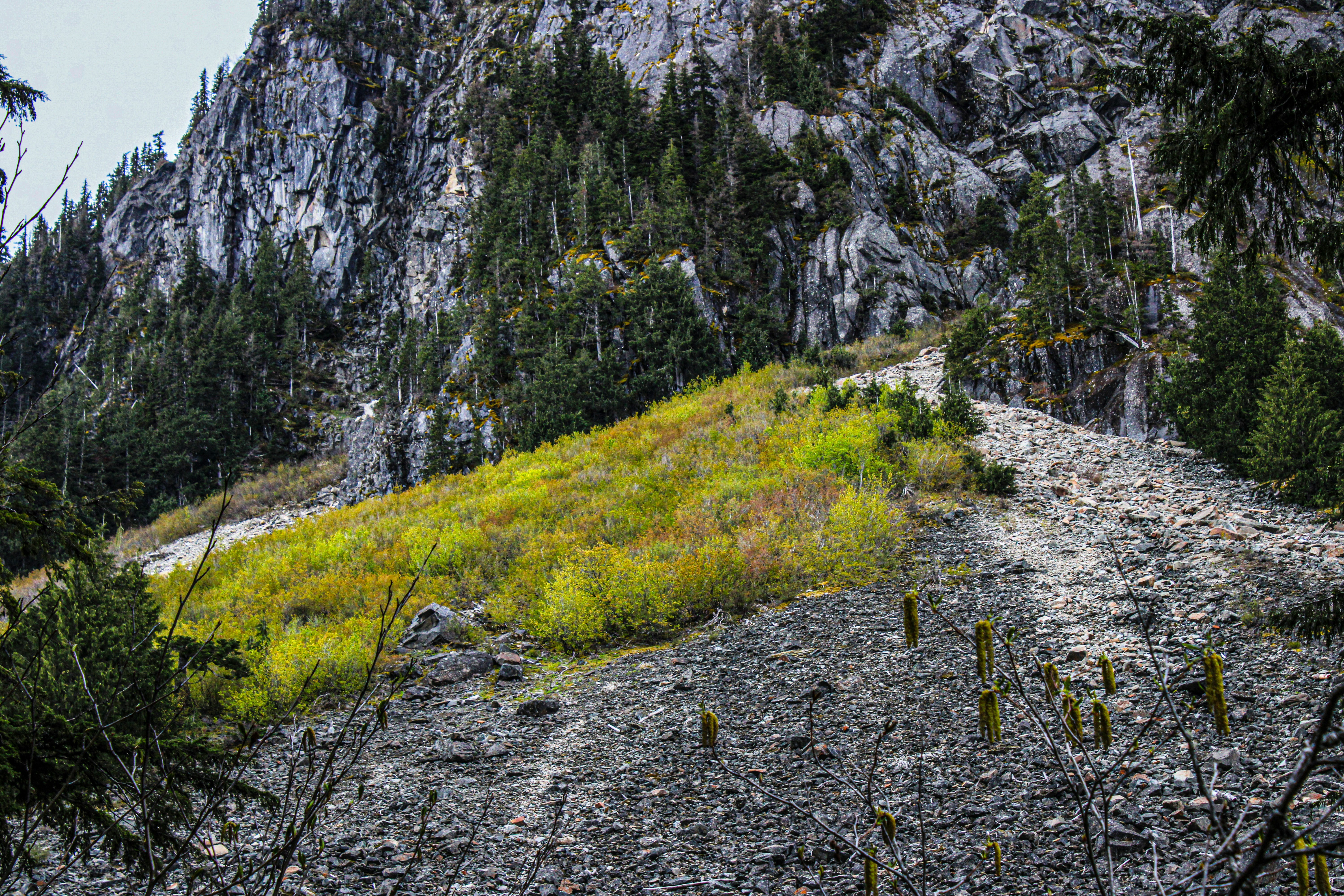 A mountain with a trail going up the side of it photo – Free Green ...