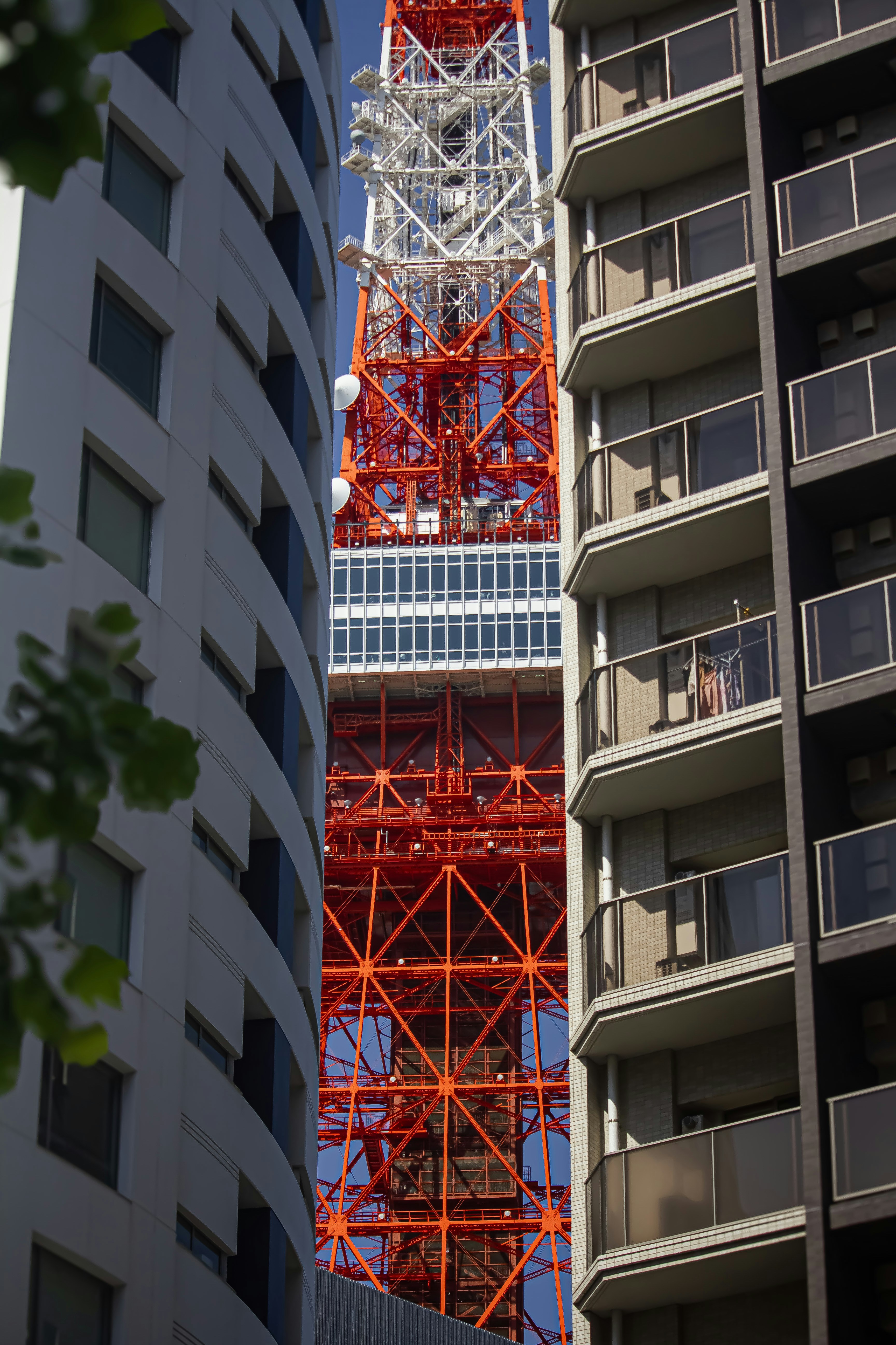 Crimson Skeleton Framed Between Concrete Facades