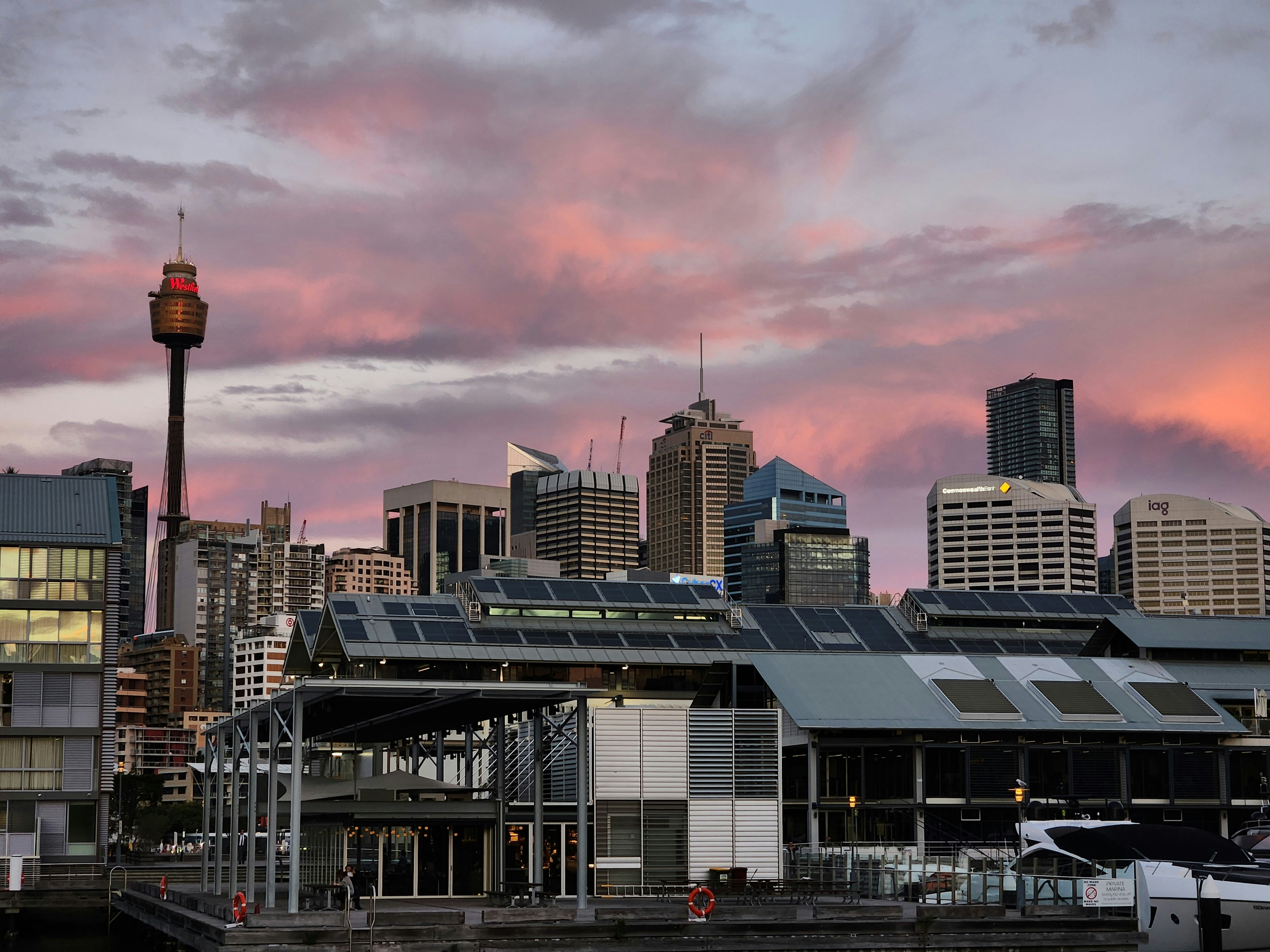 a view of a city with a lot of tall buildings