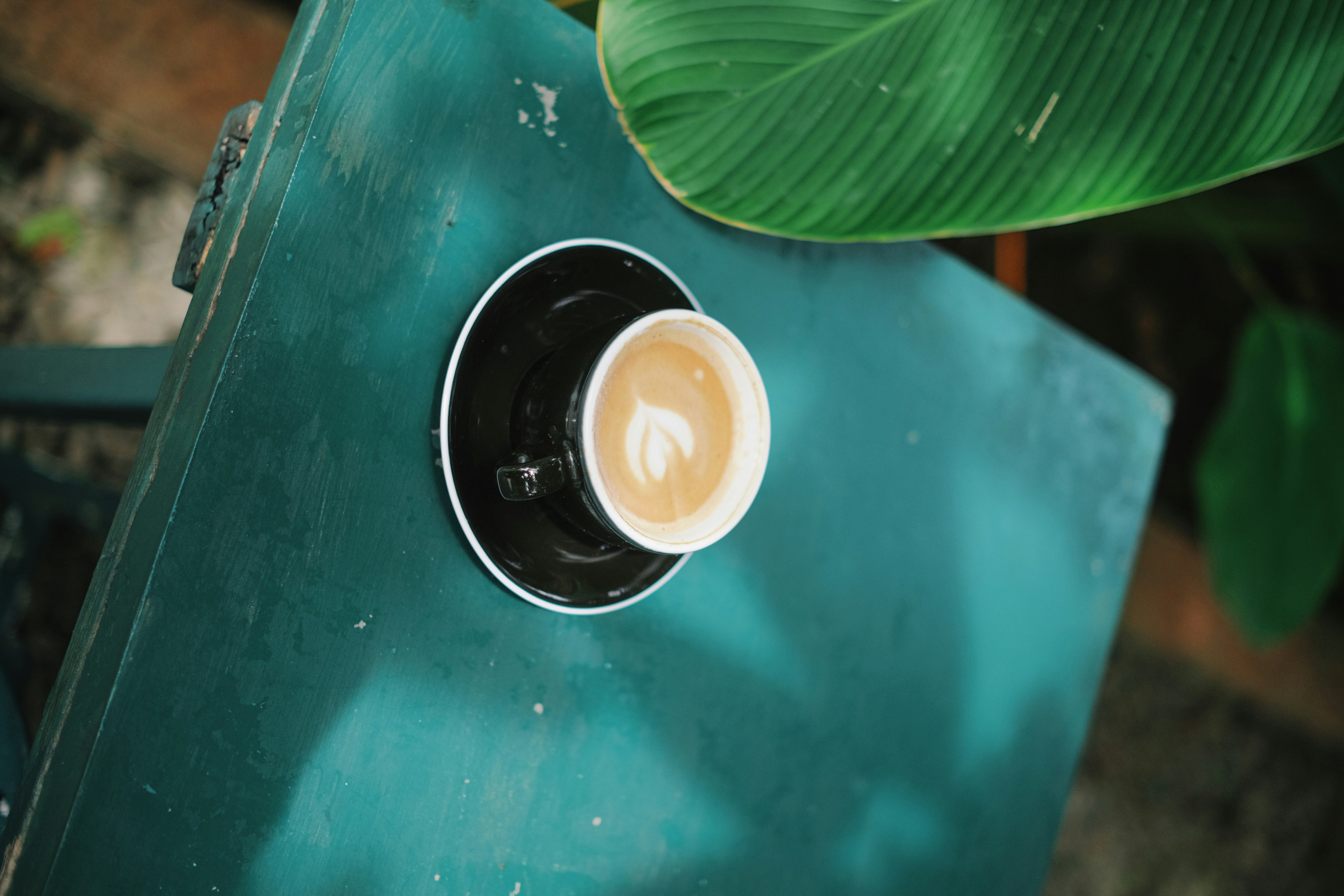 Latte on Teal Table, Framed by Tropical Foliage