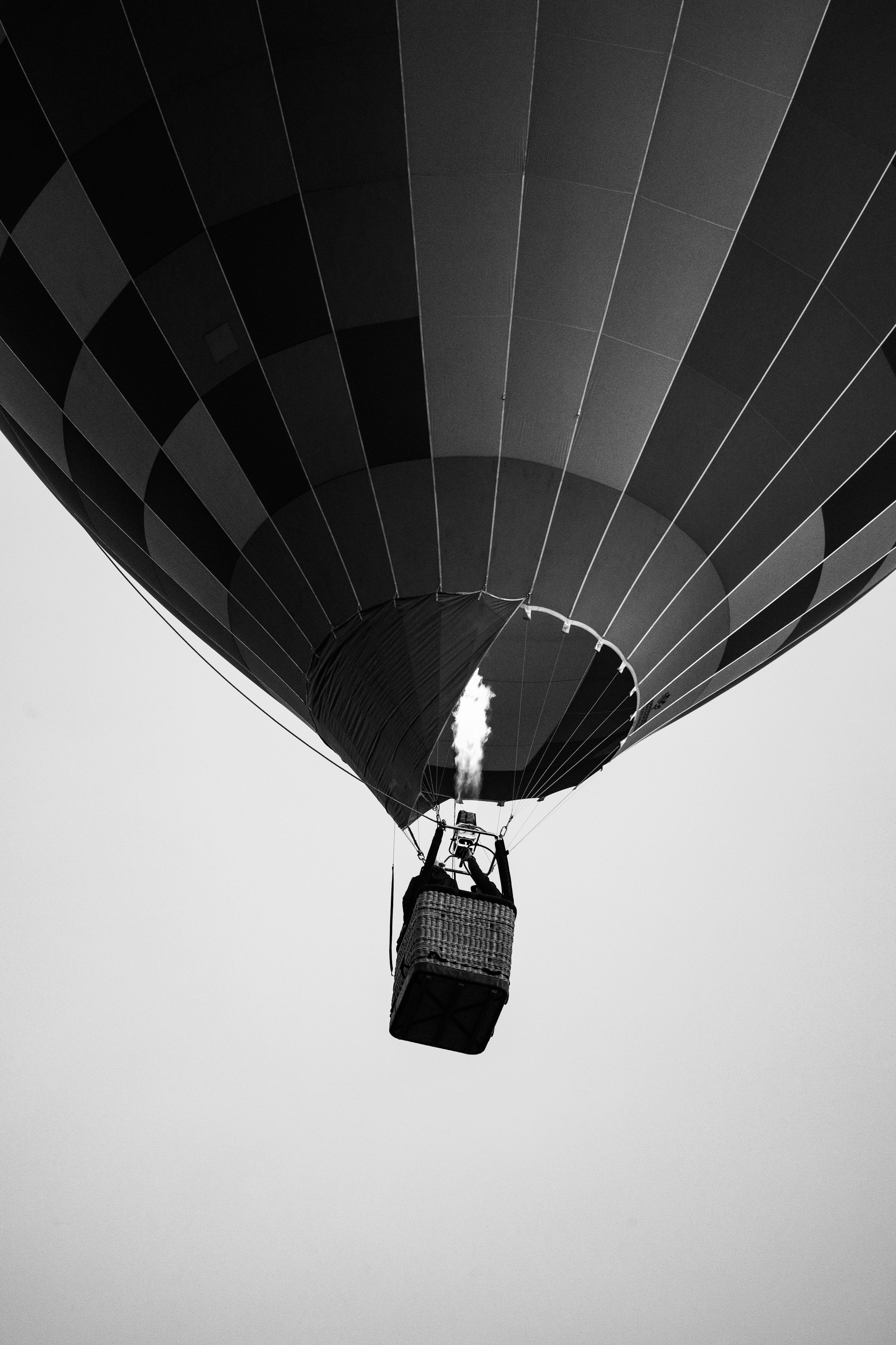 A person in a hot air balloon flying in the sky photo – Free Canberra ...