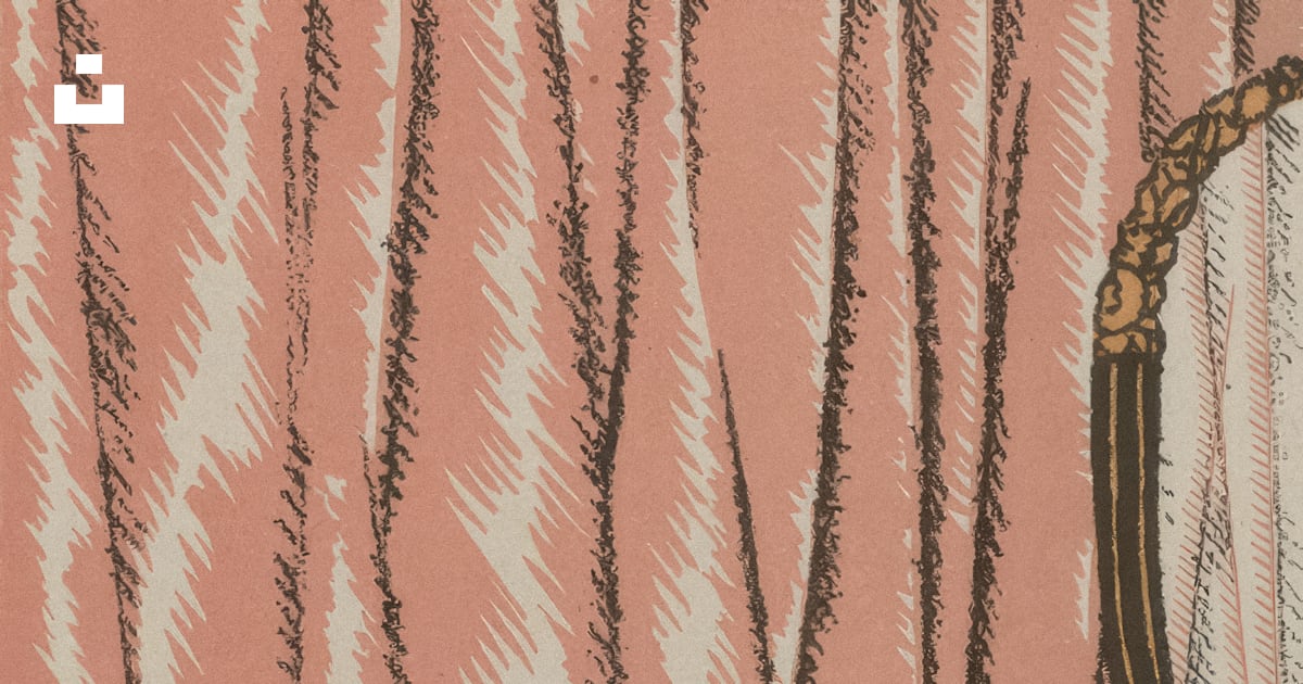 화장대와 거울이 있는 욕실 그림 사진 Unsplash의 무료 복숭아 색 이미지