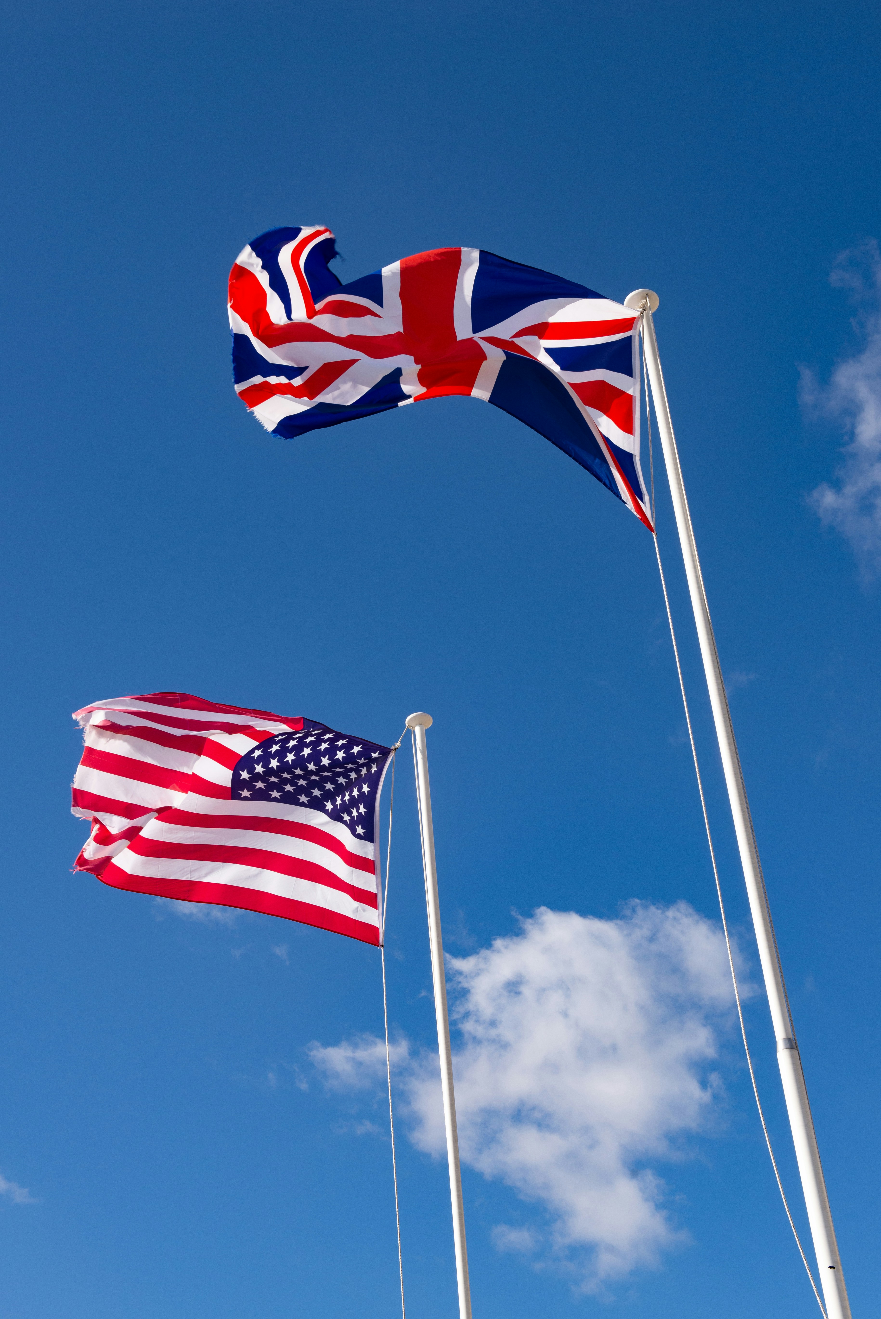 Three flags flying in the wind on a sunny day photo – Free Red white ...