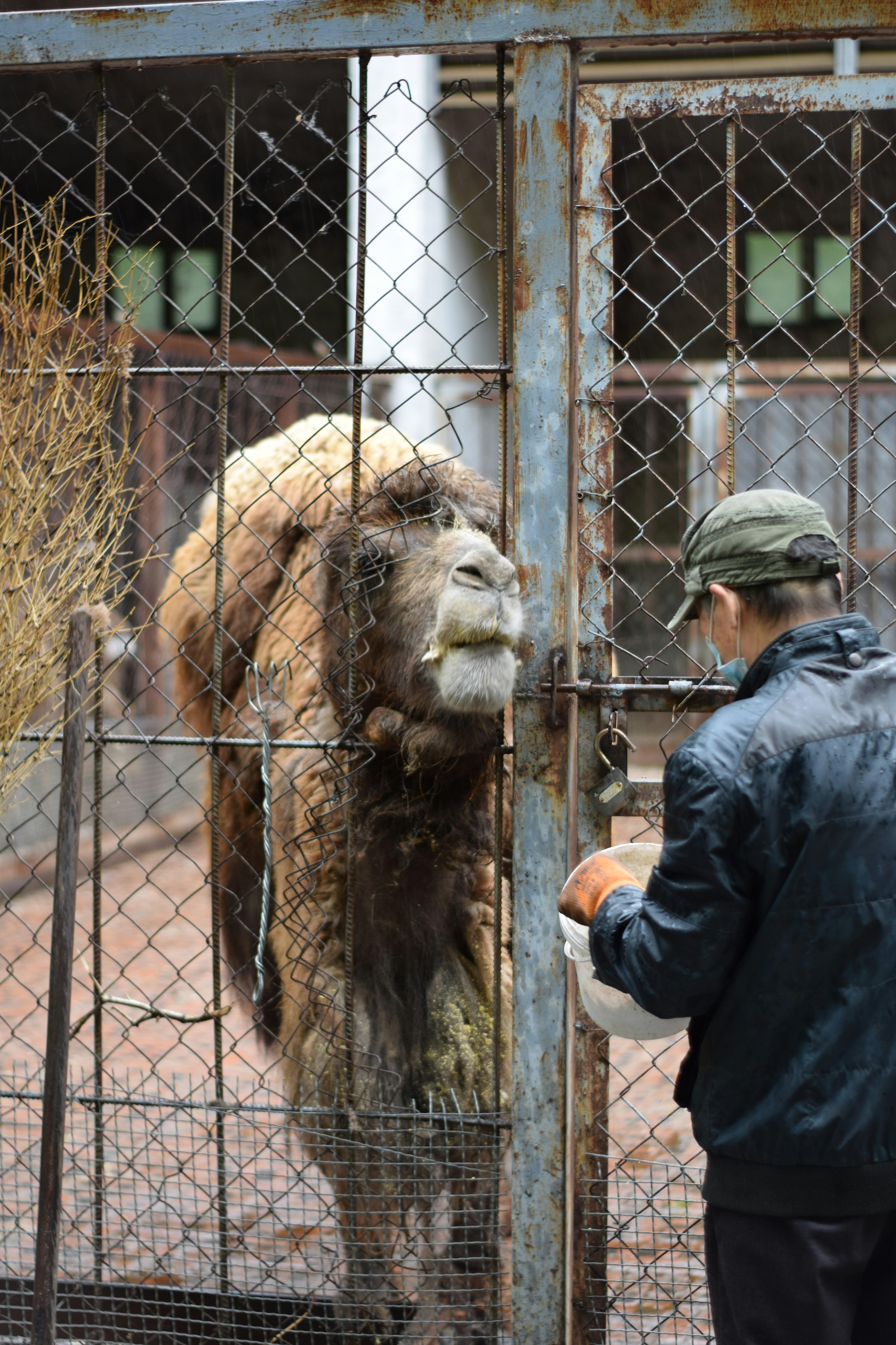 Photo by V1r7zZ with Nikon D5300