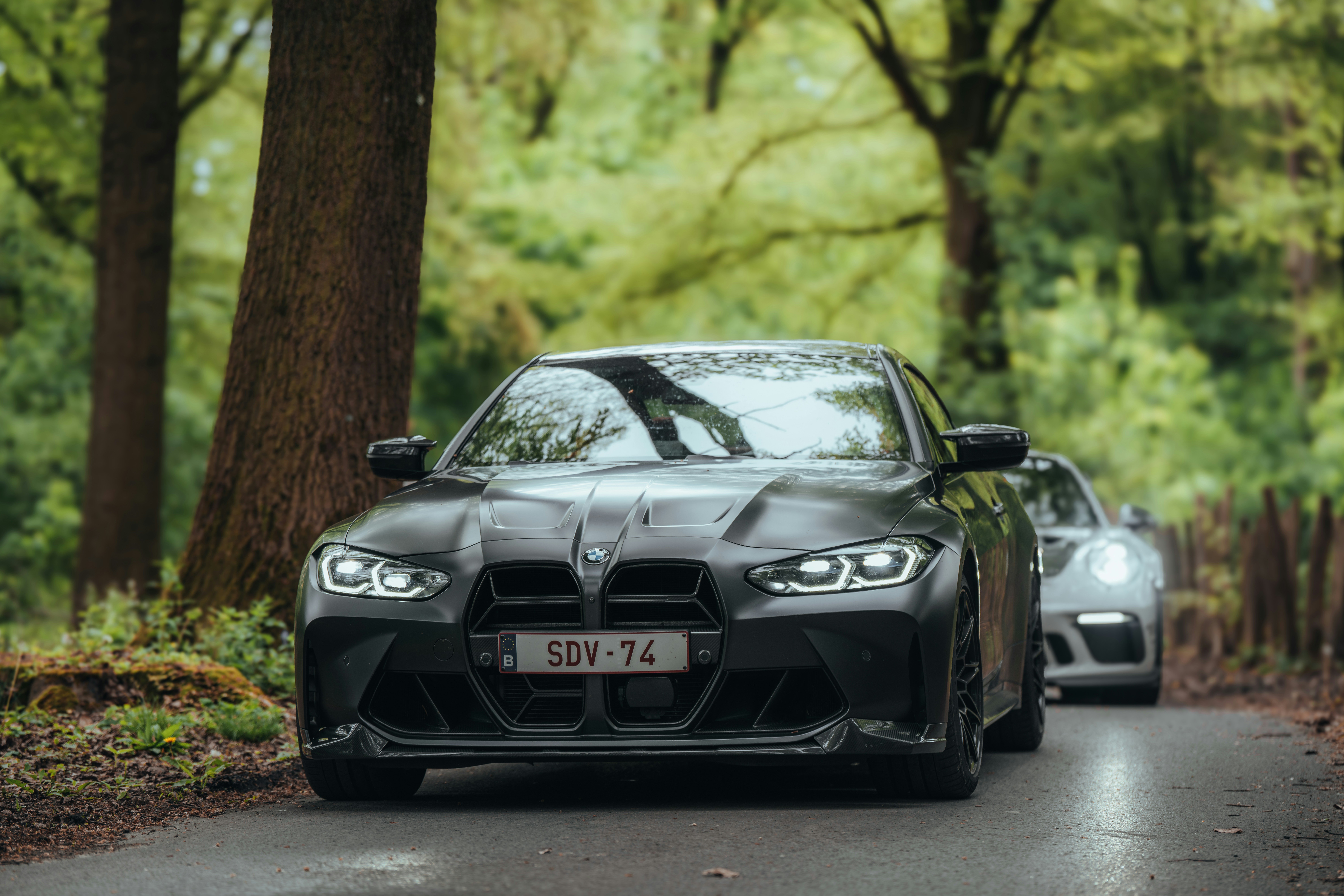 Emerald Forest Pursuit: A Black BMW Dominates the Quiet Road