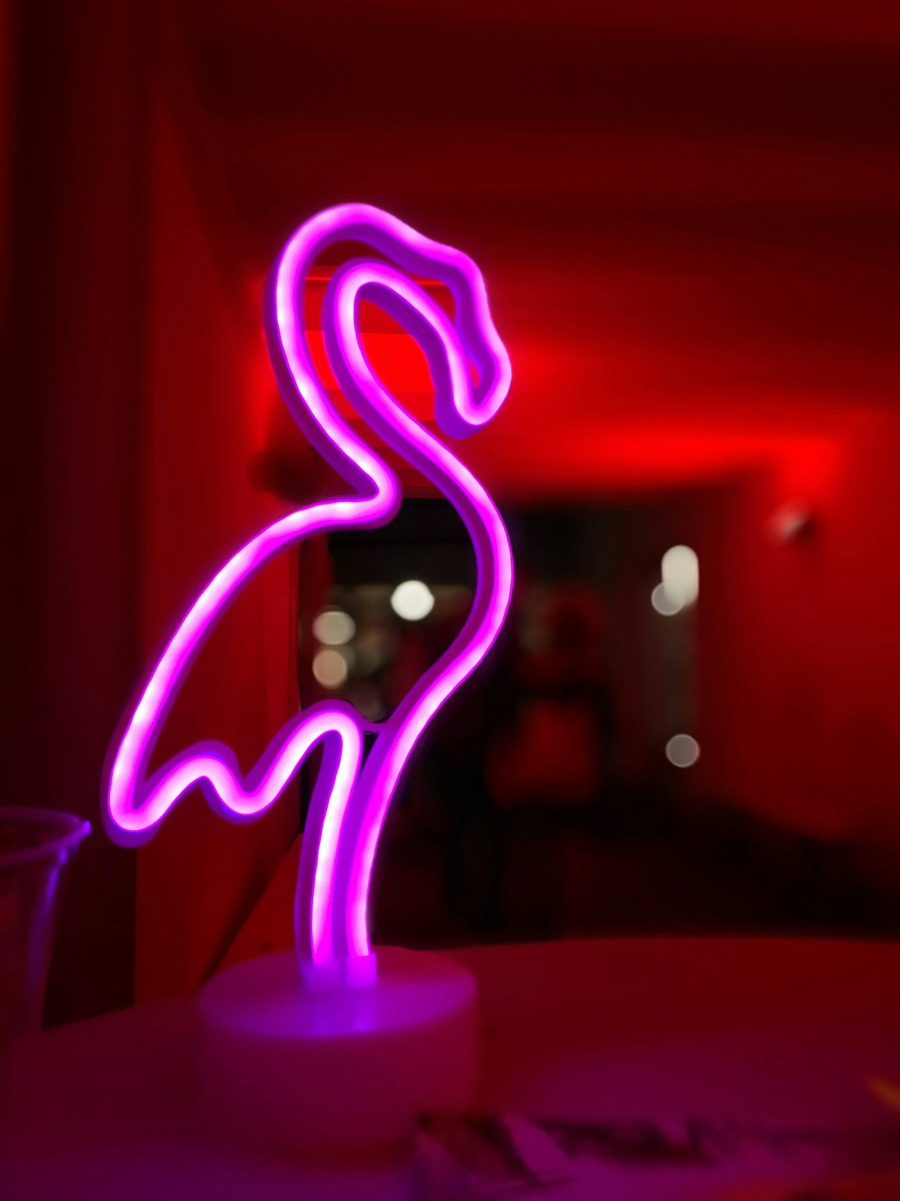 Neon Flamingo: A Softly Blurred Neon Portrait in Red