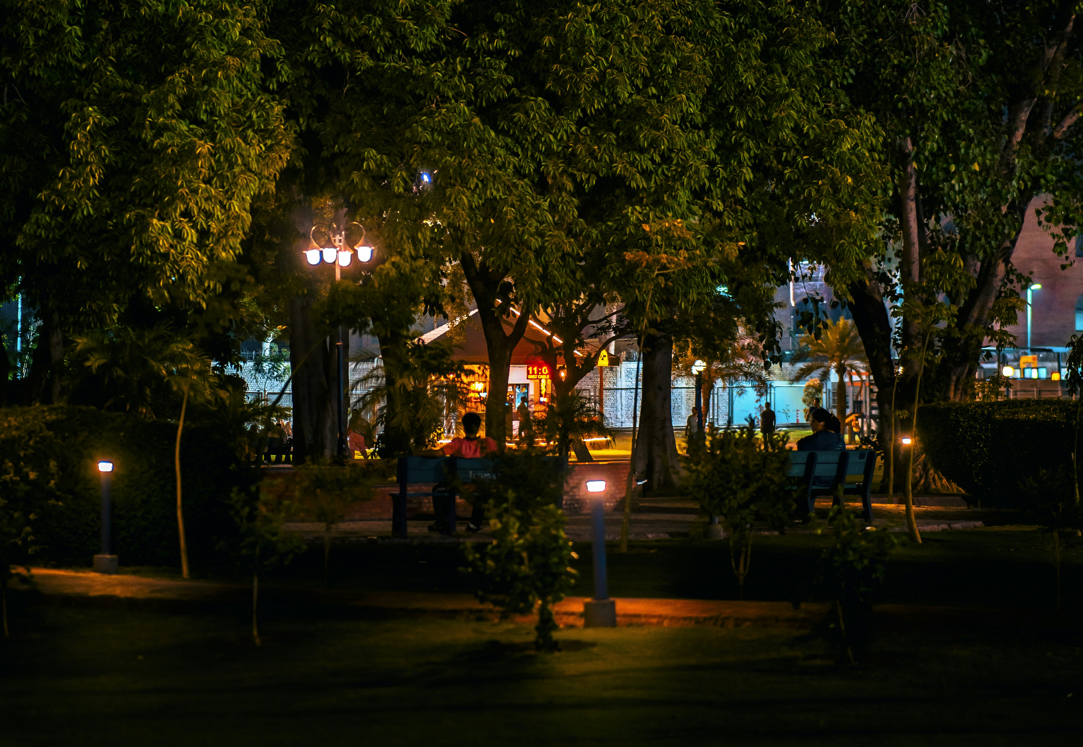 Illuminated park scene with warm lights under dense trees at night.