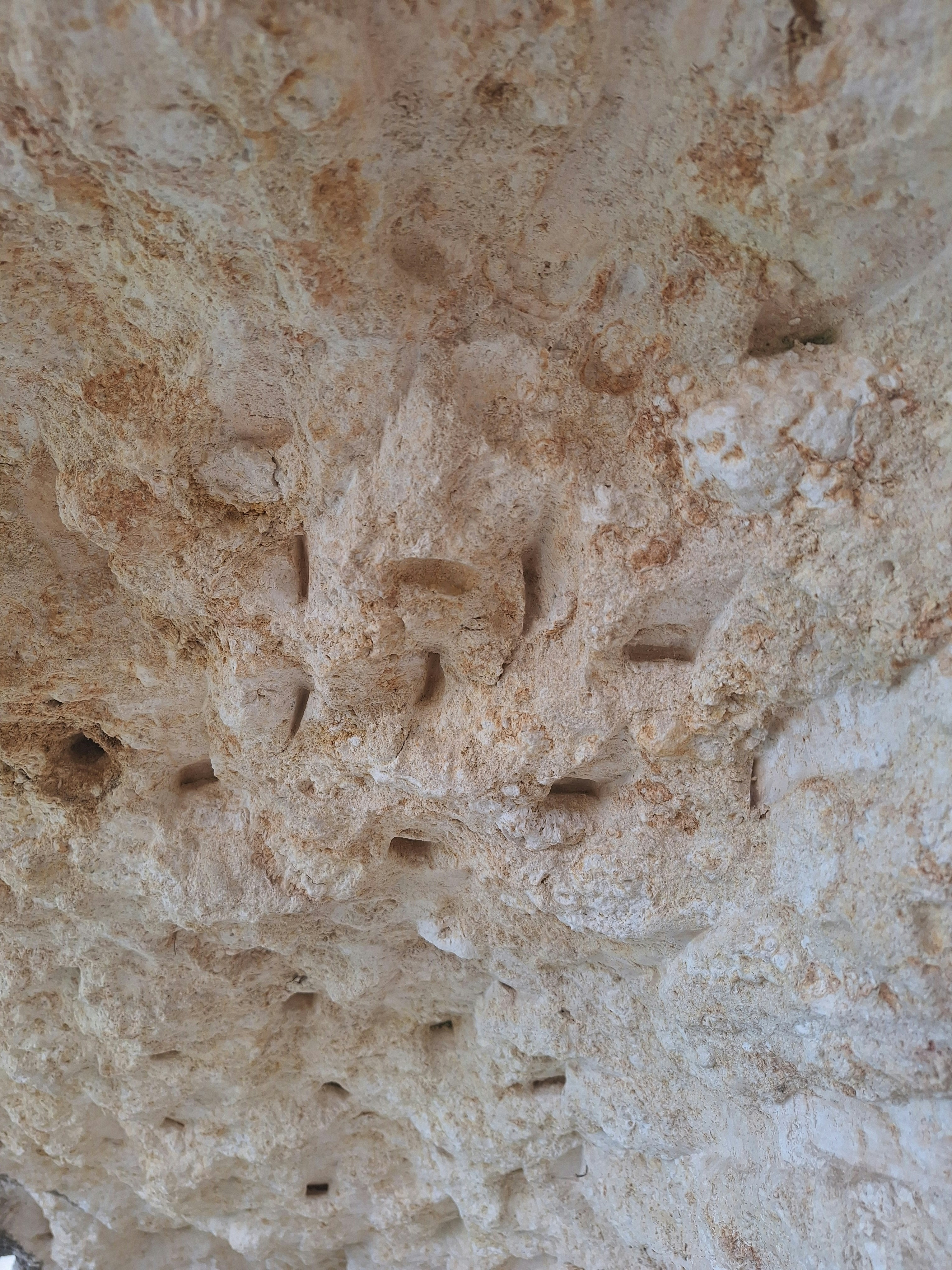 A close up of a rock with holes in it photo – Free Pejukutan Image on ...