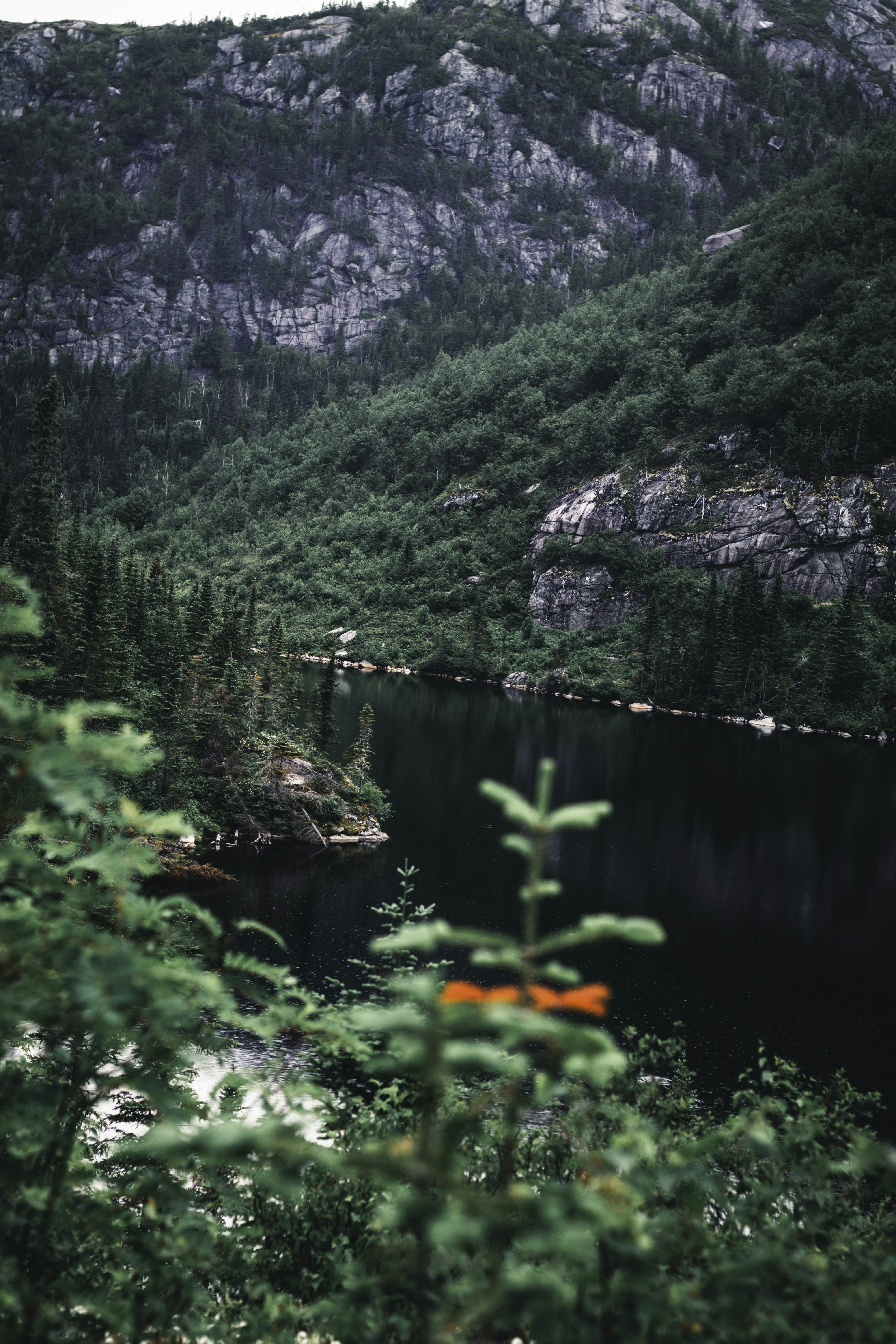 A body of water surrounded by trees and mountains photo – Free Bic ...