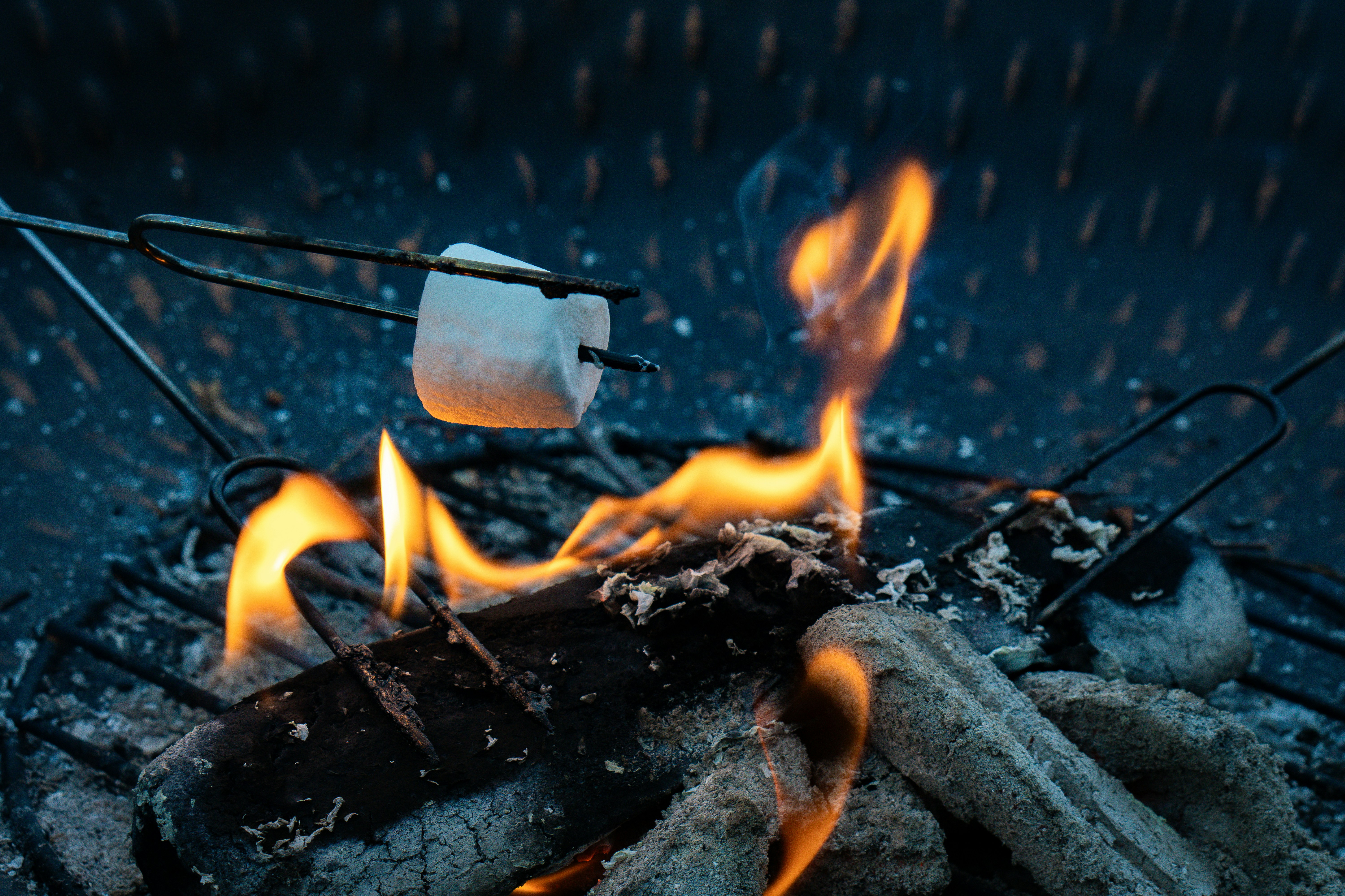 Roasting Pictures | Download Free Images on Unsplash