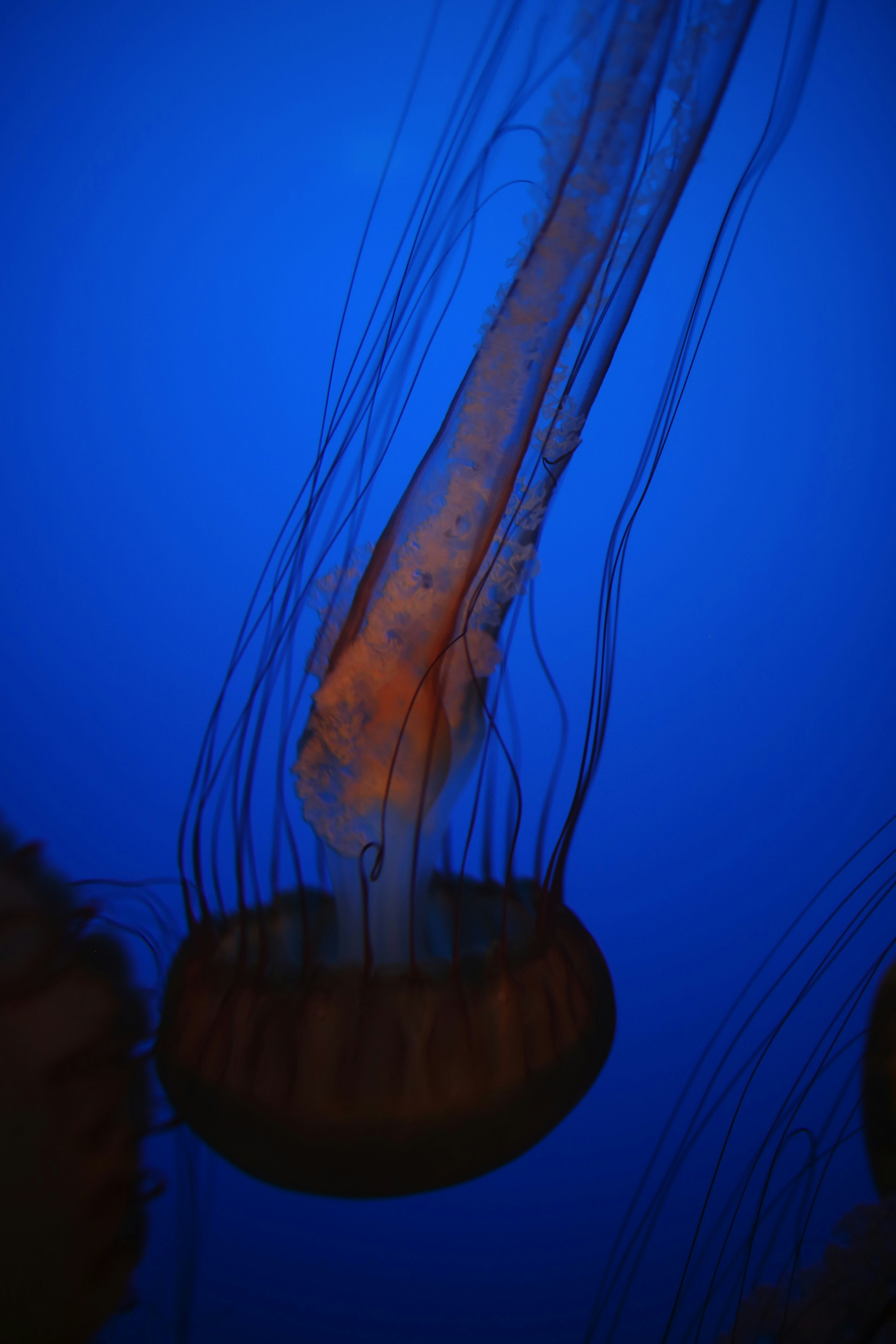 Photo by Sean Thoman with Canon EOS 5D Mark III