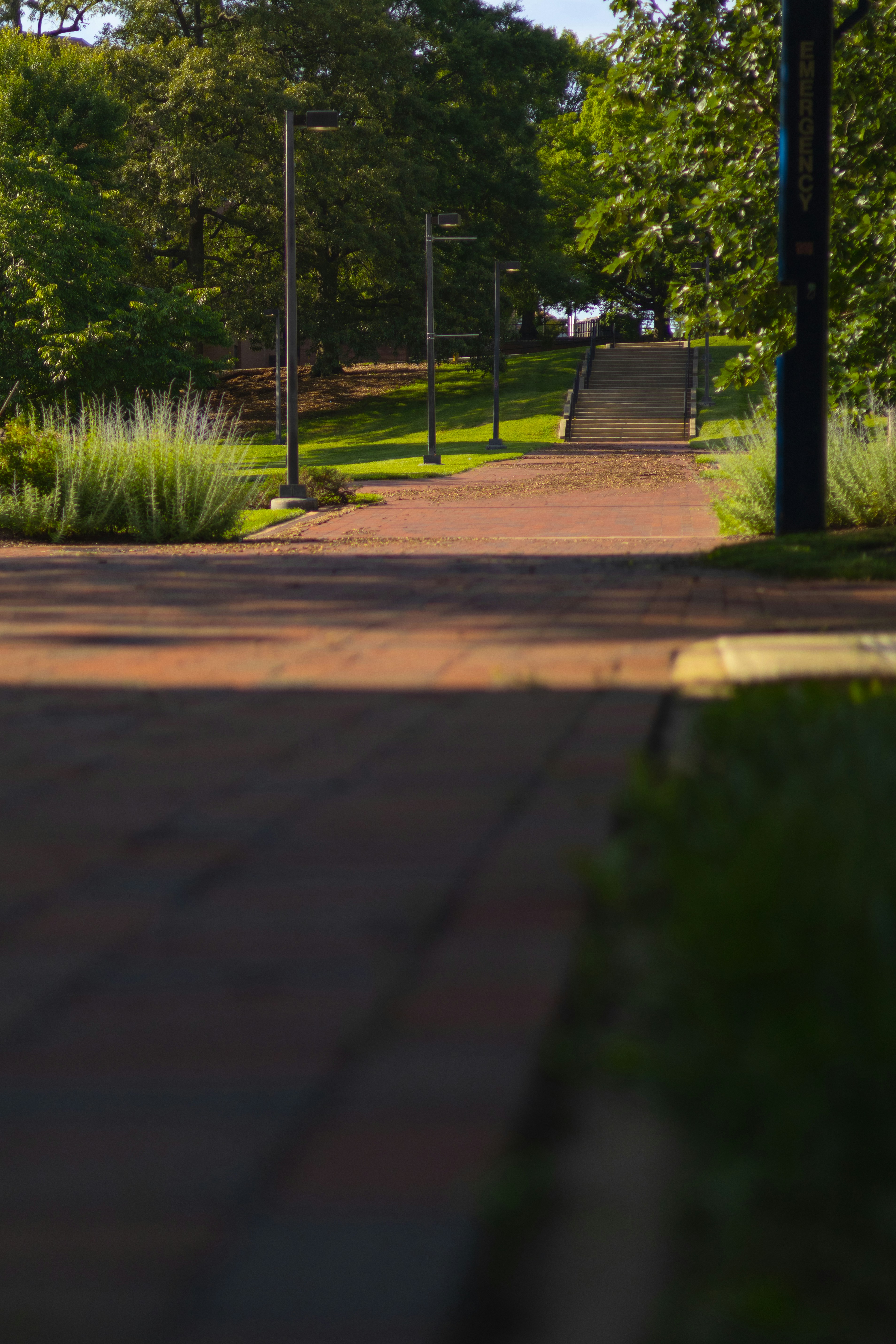 school in summer