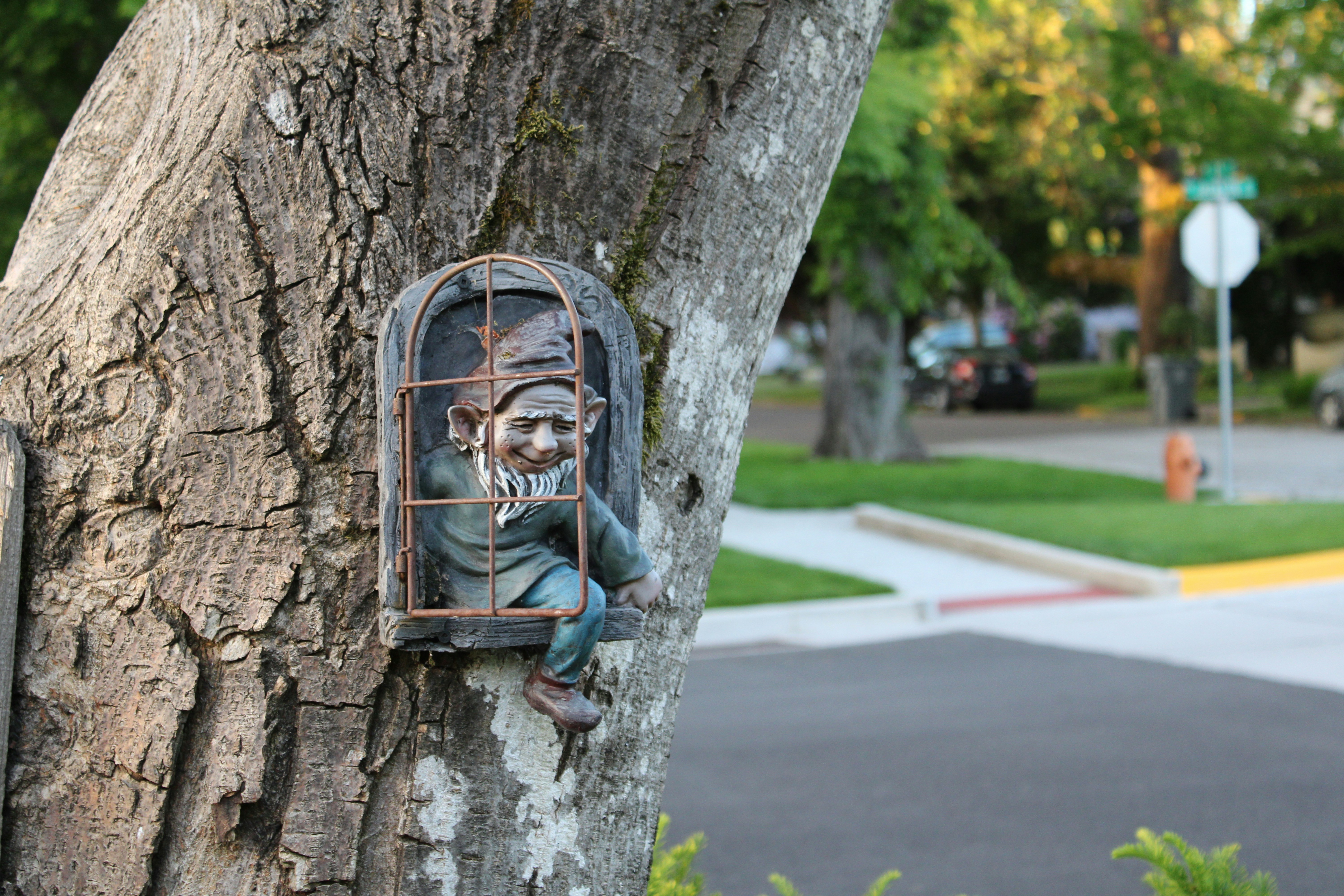 Tree decoration of a gnome with a pointy hat peering from a miniature window, set against a suburban street backdrop.
