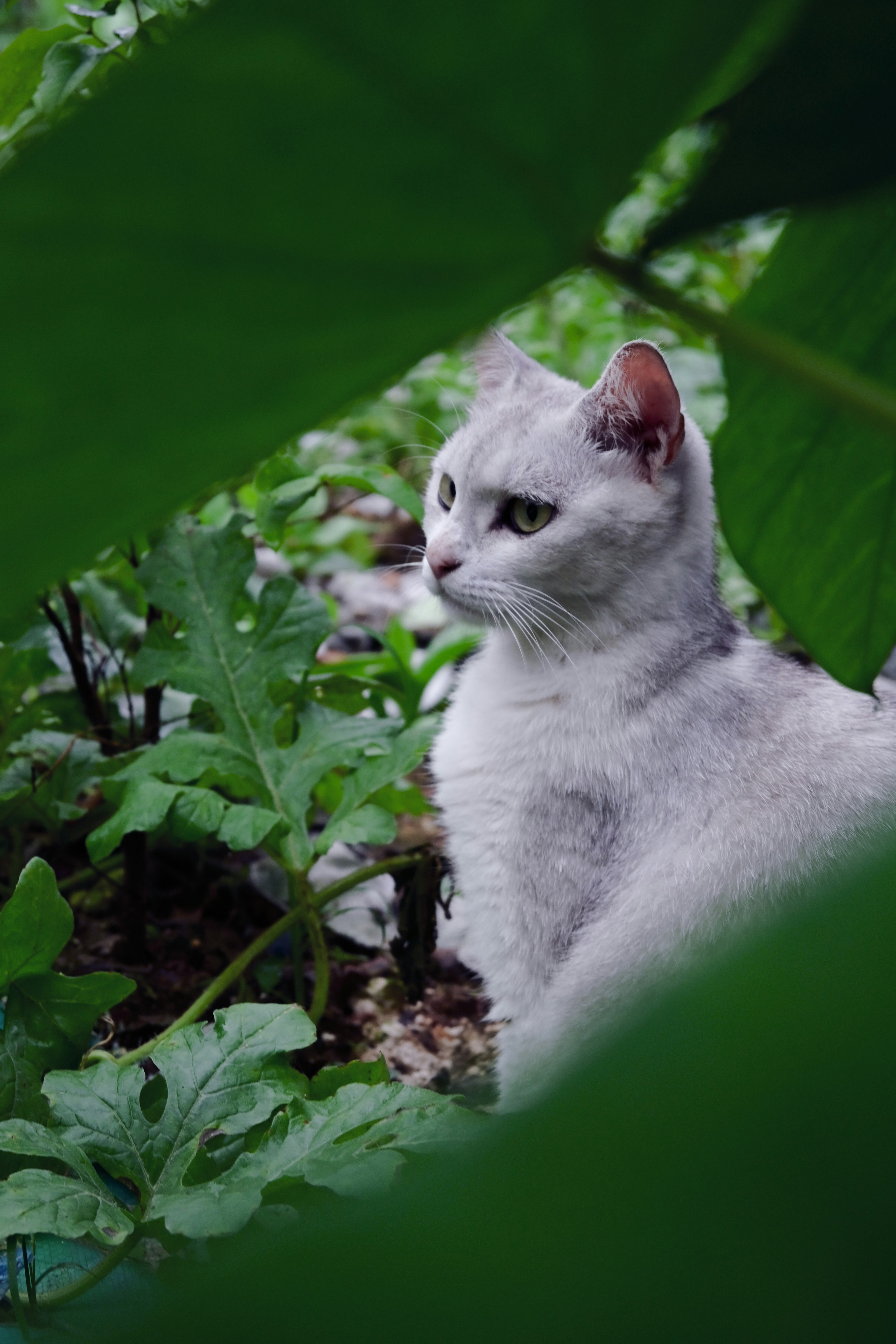 Photo by xy1997 with Nikon Z30