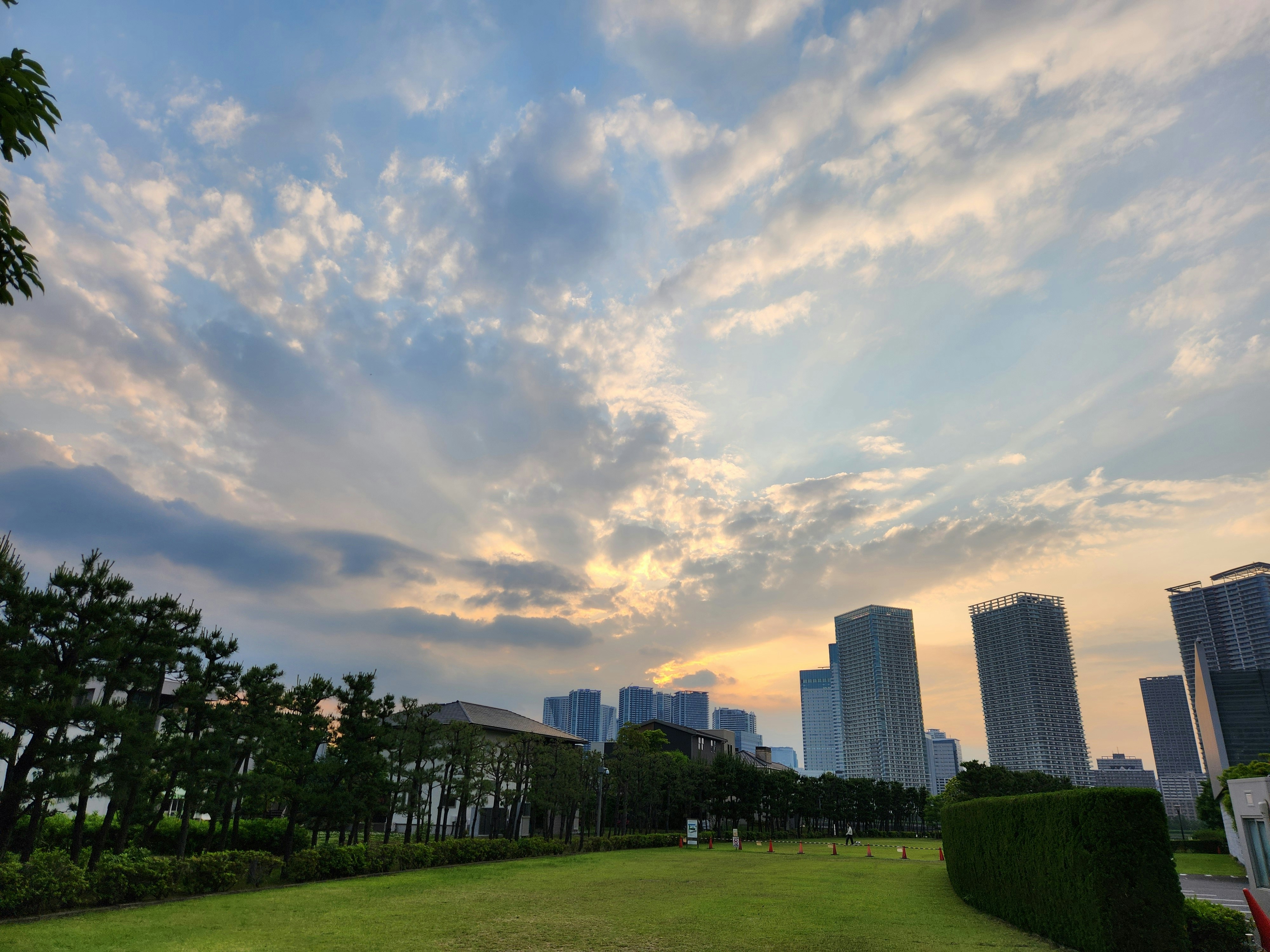 Dusk Over Glass Towers Beyond a Quiet City Park