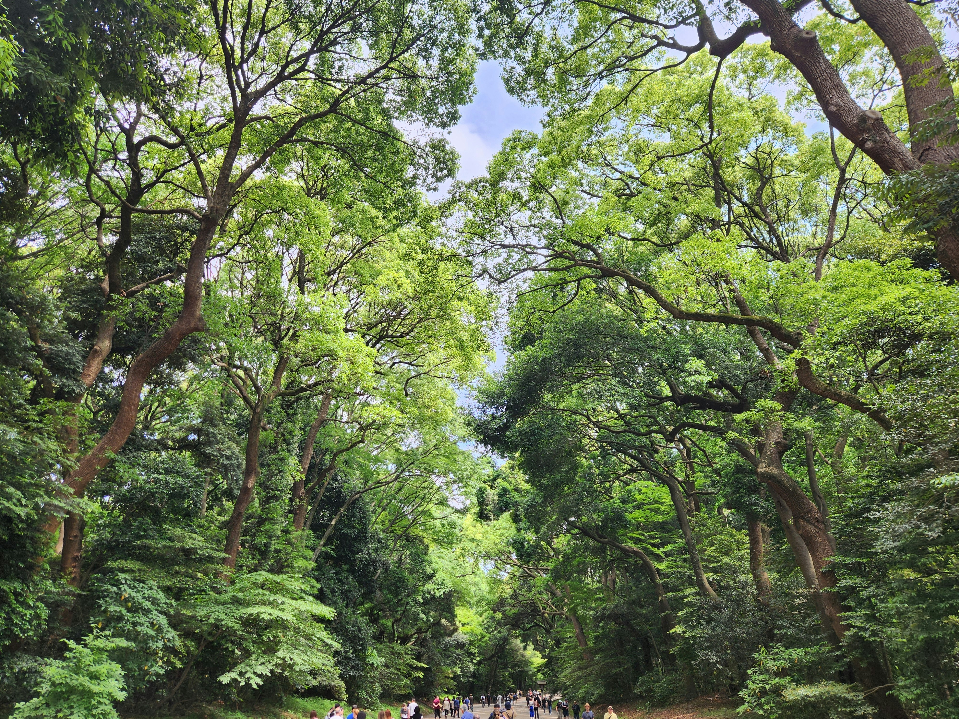 Photo by Yoel Winkler with Samsung Galaxy S22 Ultra