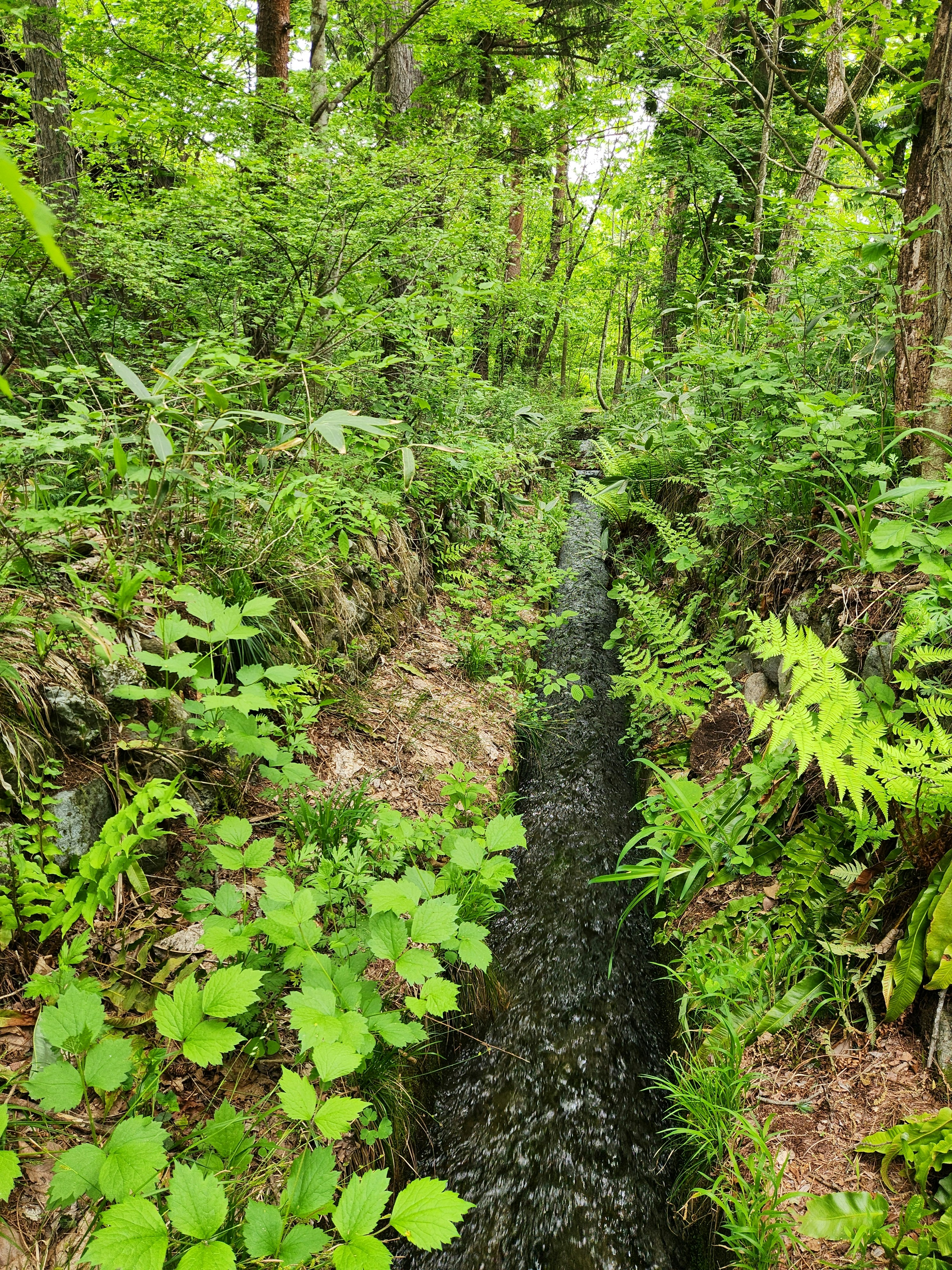 Photo by Yoel Winkler with Samsung Galaxy S22 Ultra