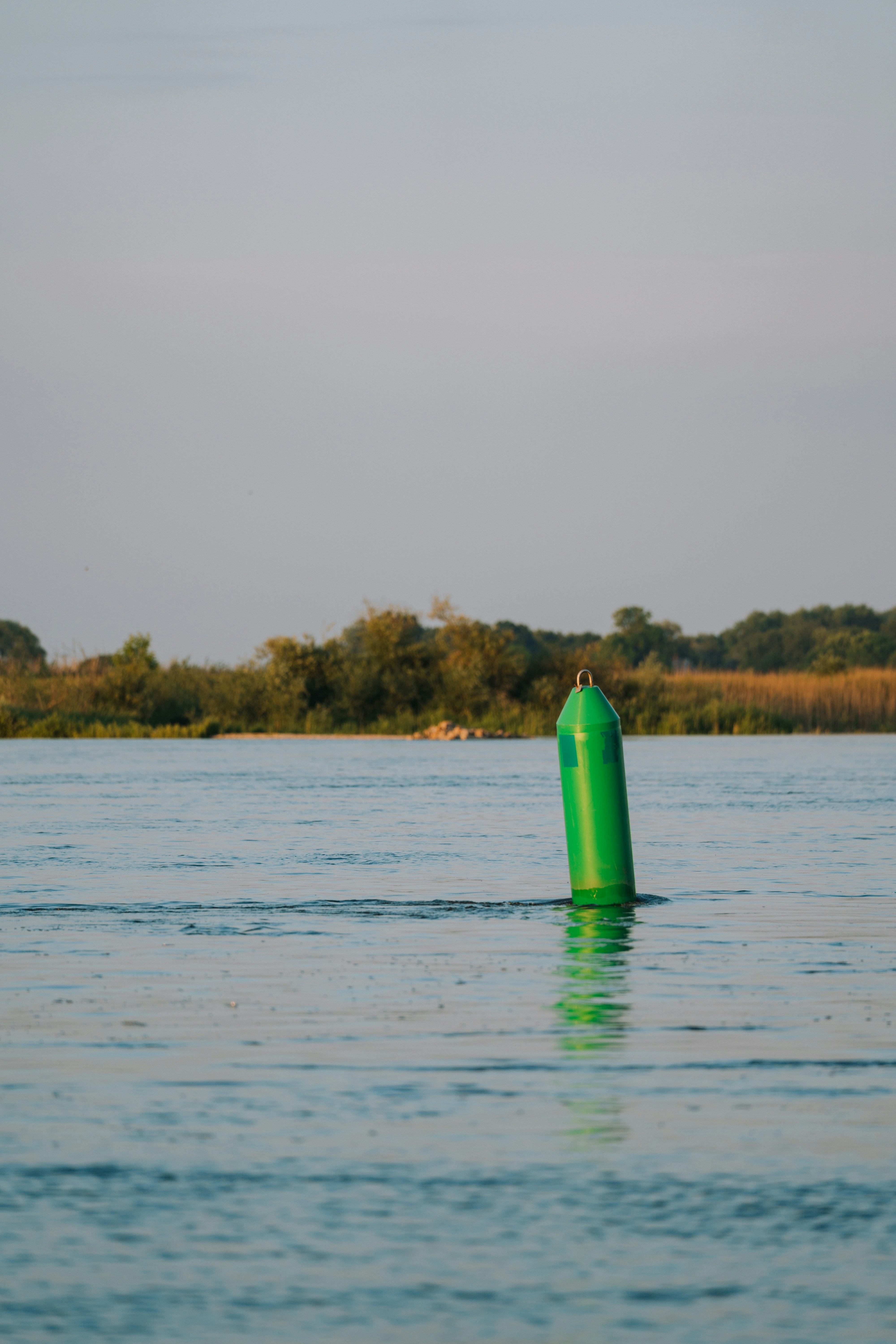 Emerald Sentinel in a Serene River Afternoon