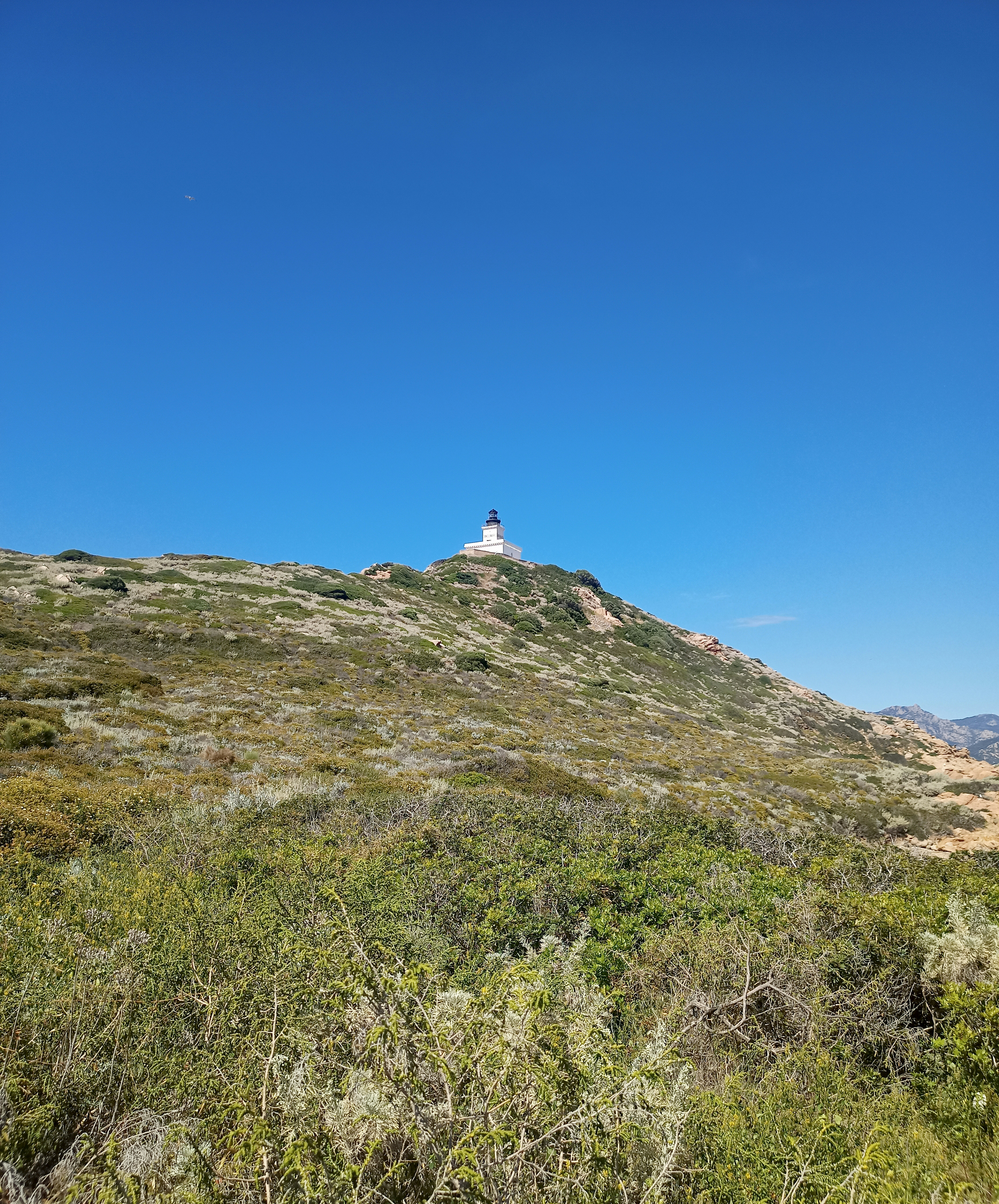 Lone lighthouse perched atop a scrubby hill beneath a crisp blue sky. A landscape photograph emphasizing the beacon against open terrain.