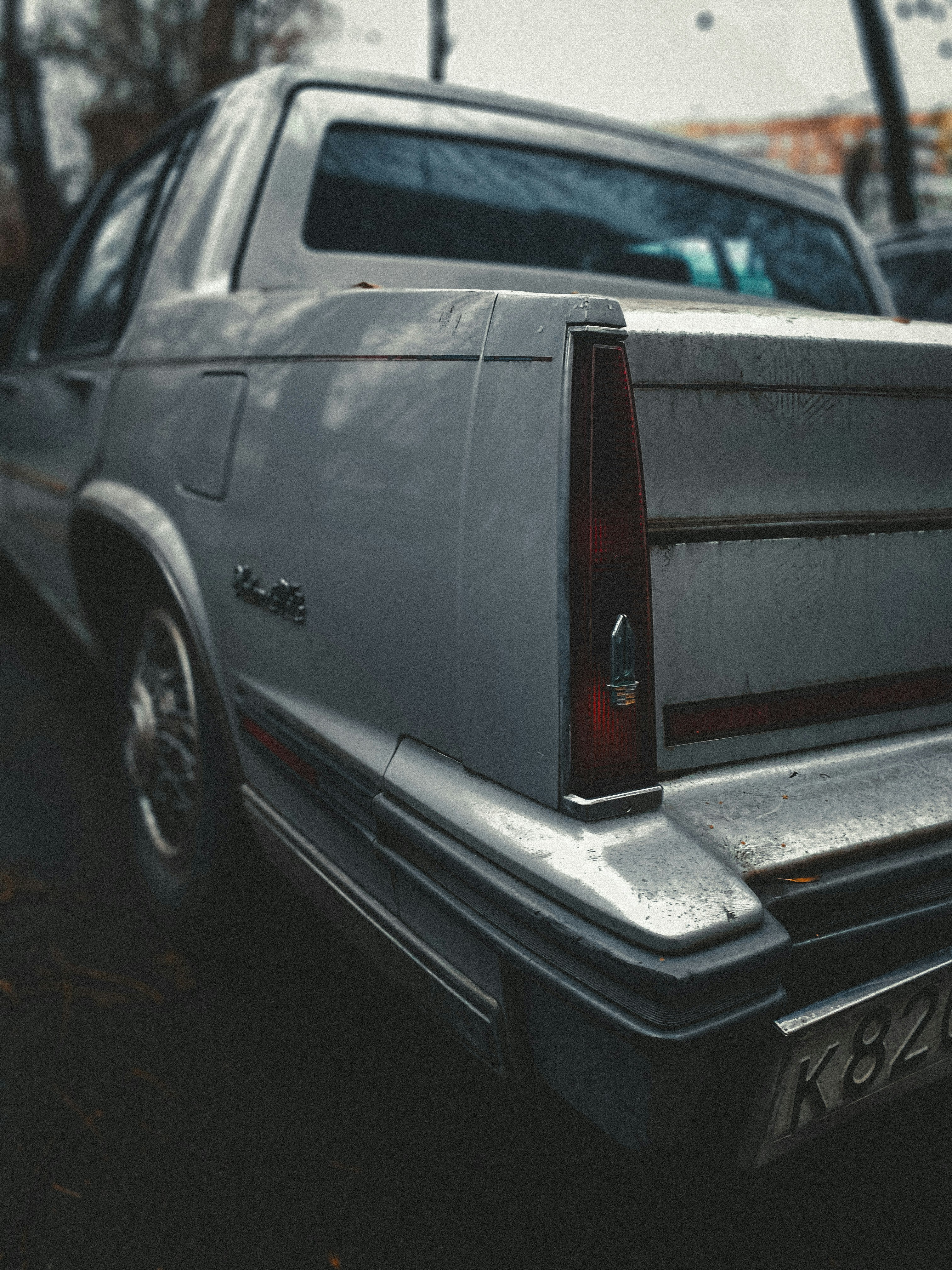 Photo by Andrey Kuznetsov with Apple iPhone 11