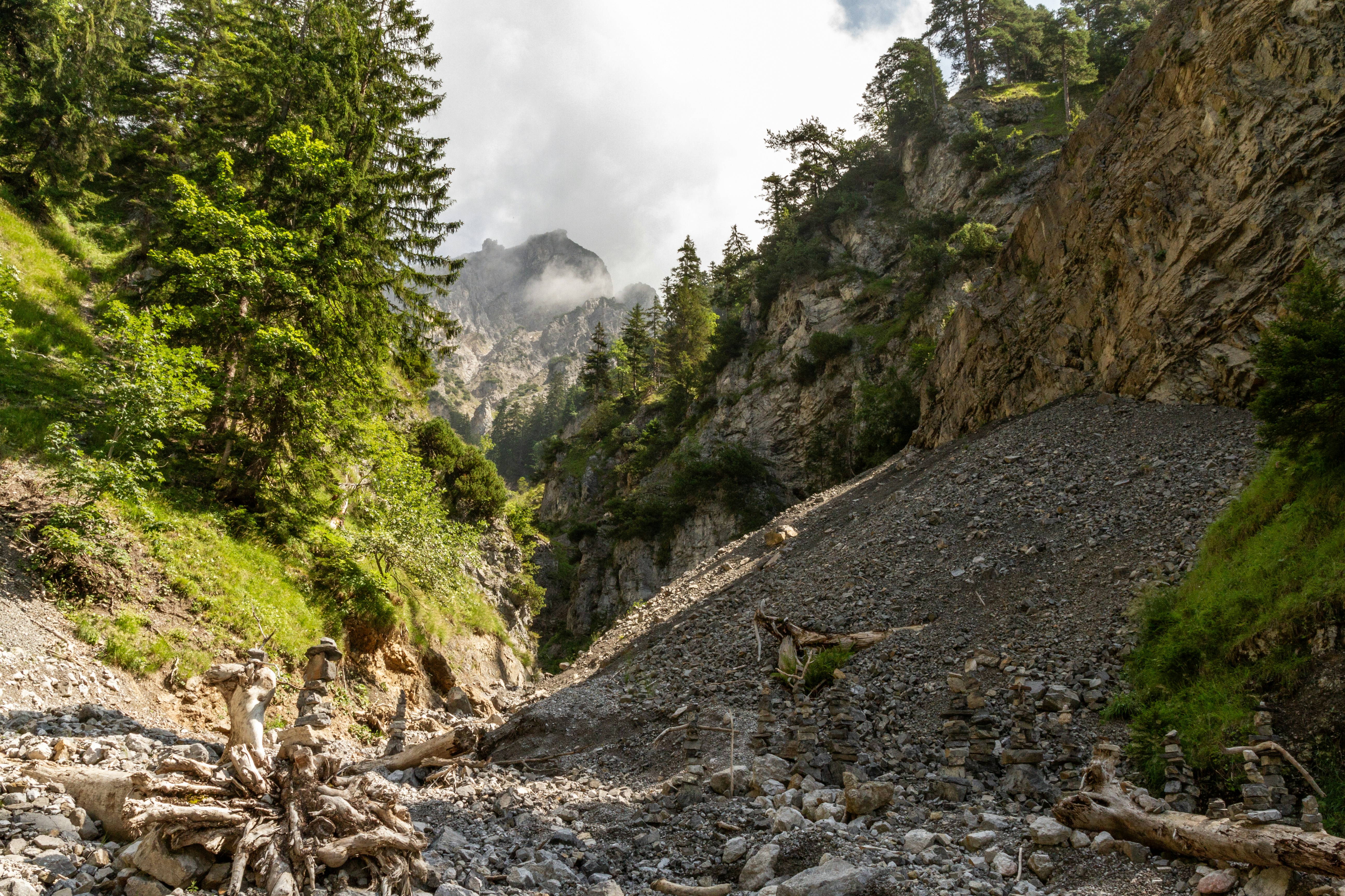 A rocky mountain stream with trees on both sides photo – Free Forest Image on Unsplash