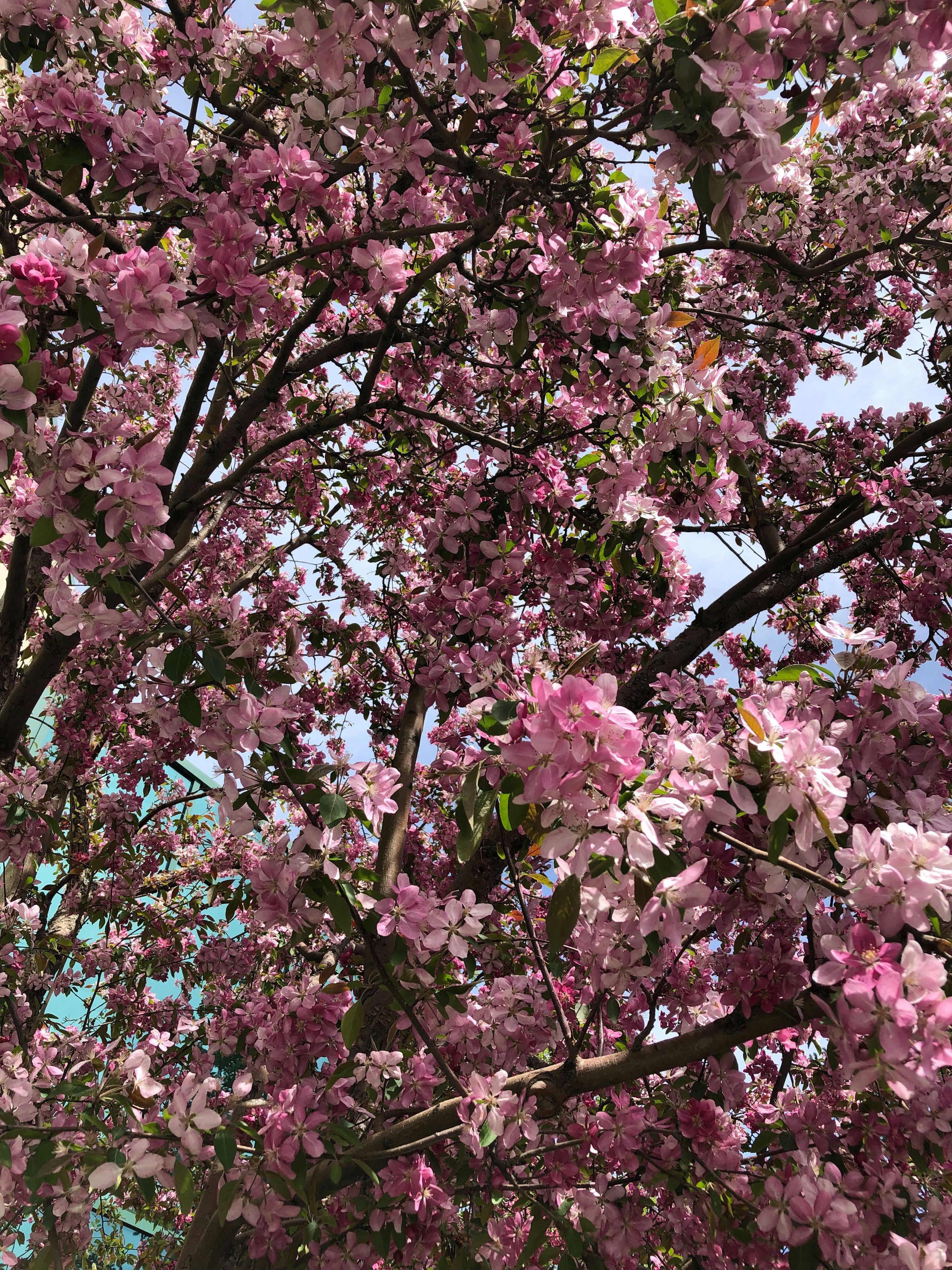 JF Kaufmann (@jf_kaufmann) | Comunidade de fotos da Unsplash