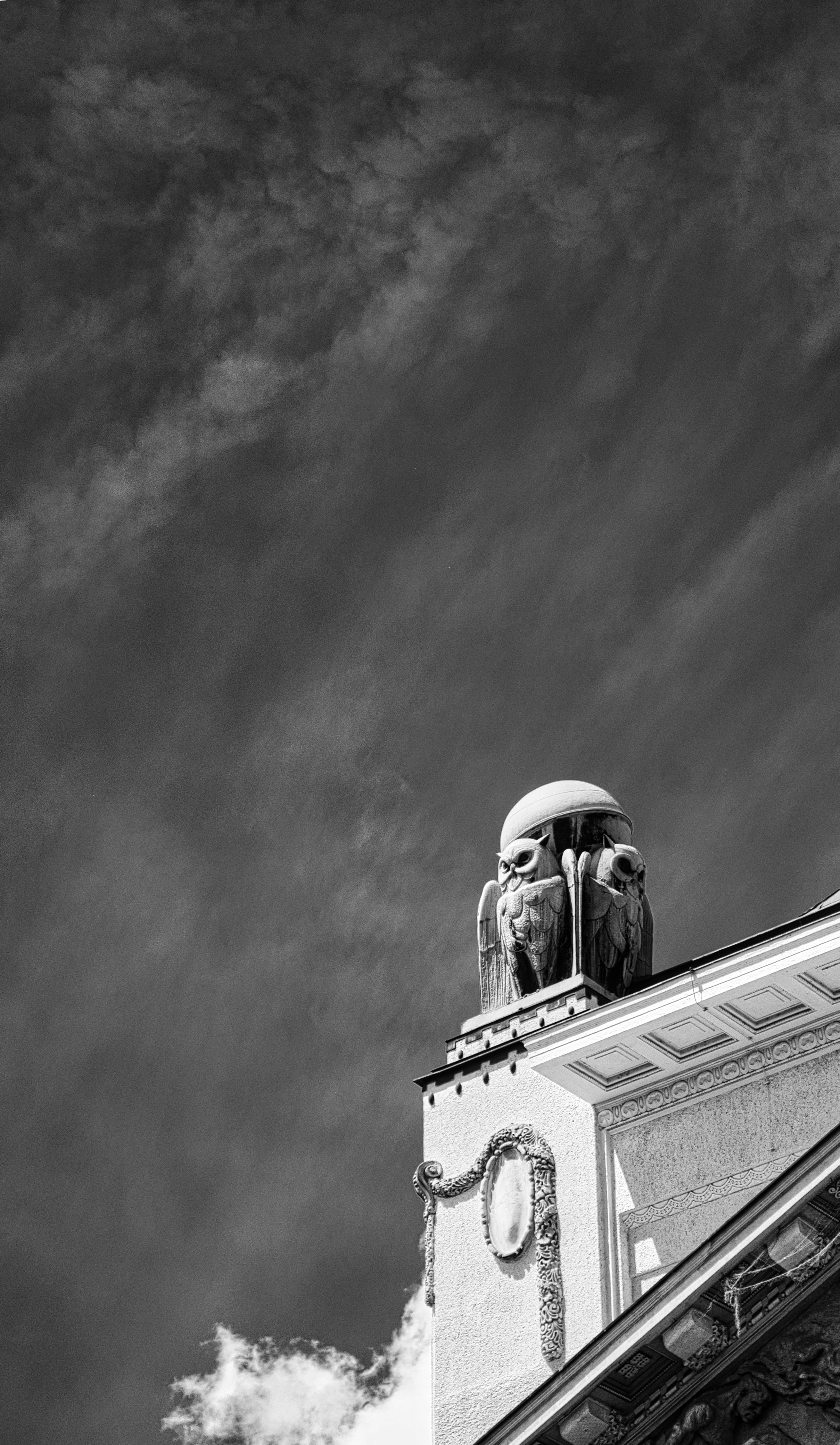 Photo by Odalv with Nikon Z50