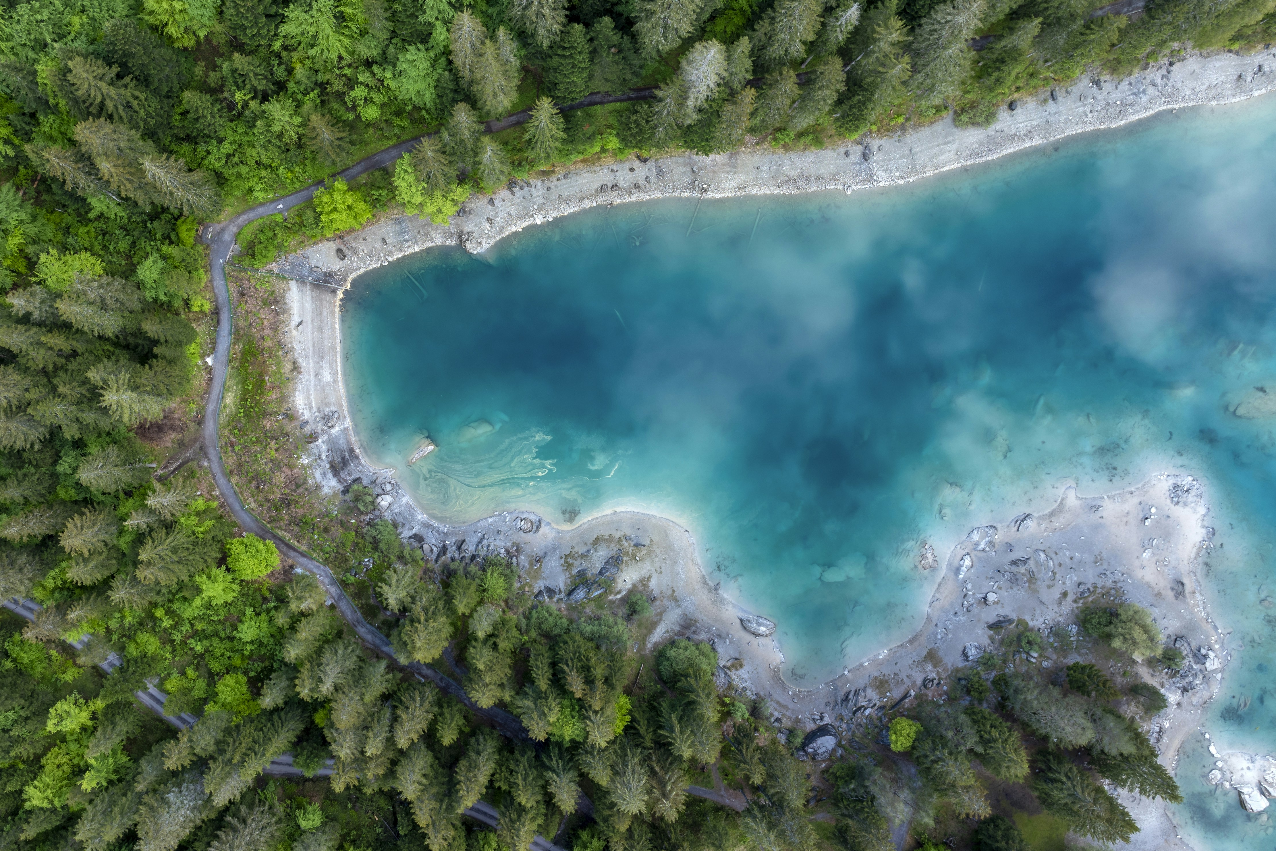 An aerial view of a blue lake surrounded by trees photo – Free Flims ...