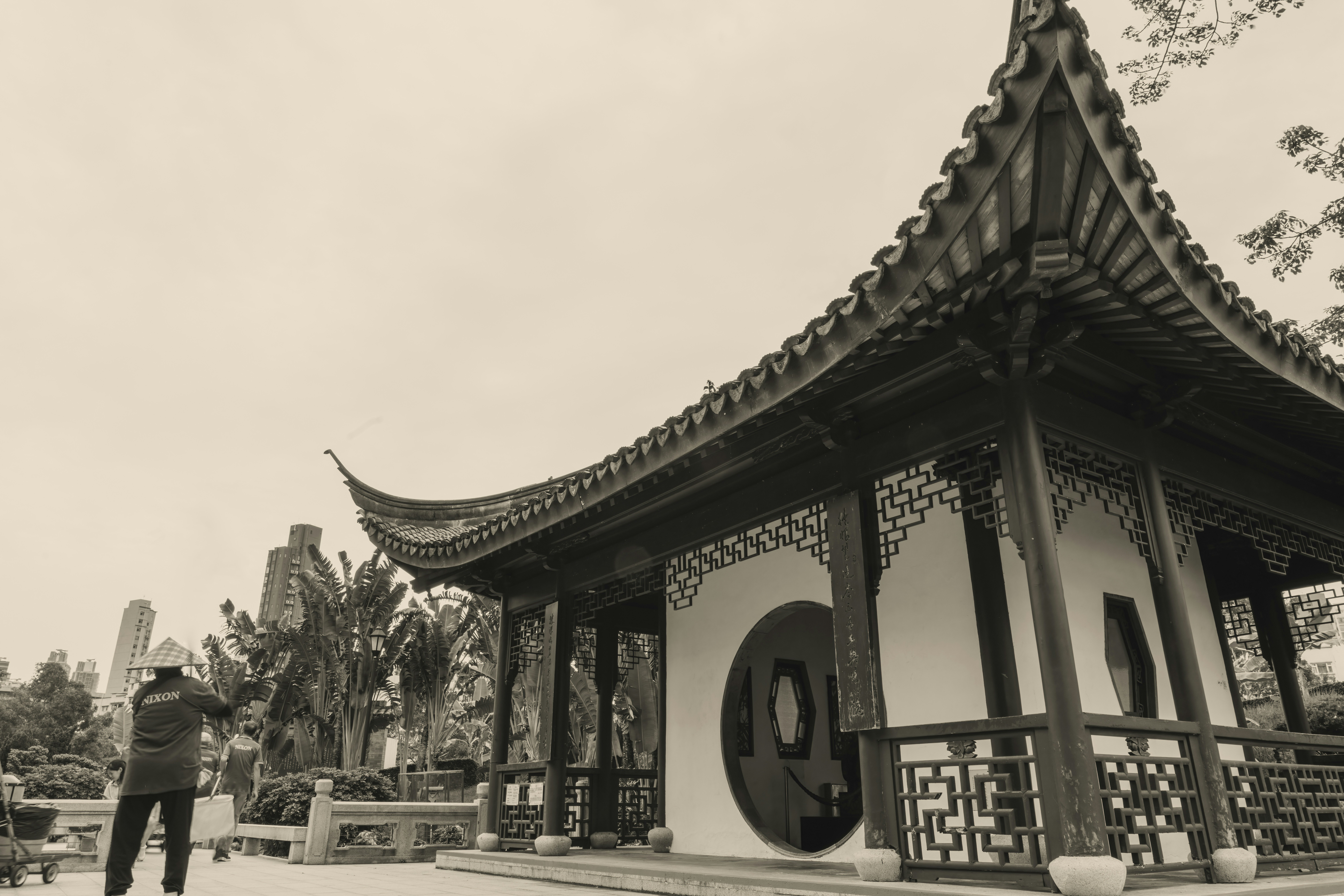 Photo by Pourya Gohari with Sony Alpha 7R V