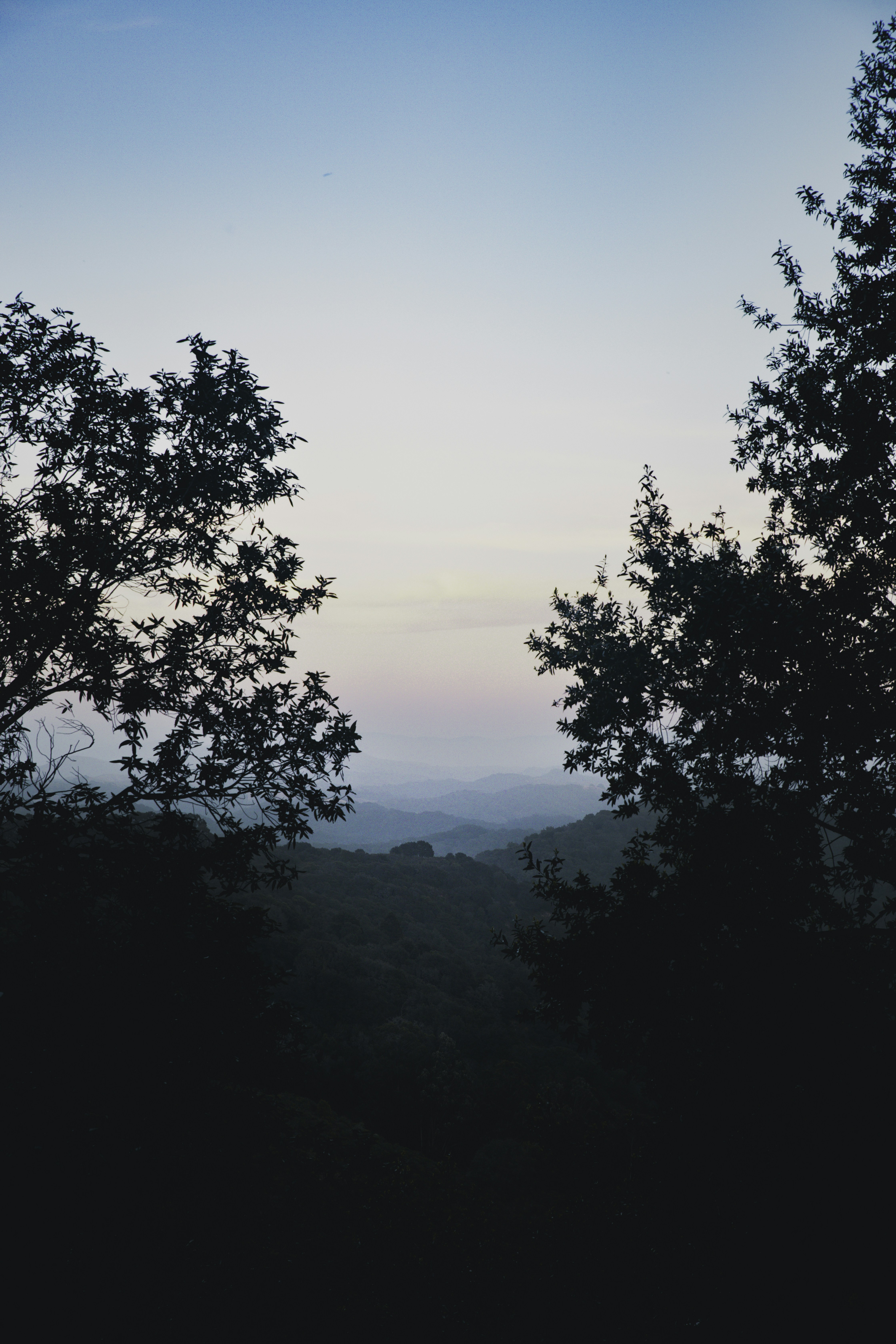 Graham Klingler (@grahamklingler) | Unsplashフォトコミュニティ